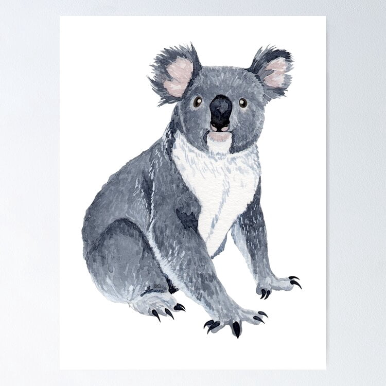 Poster Koala-Phascolarctos Cinereus - No Framed, Vintage Wall Art ...