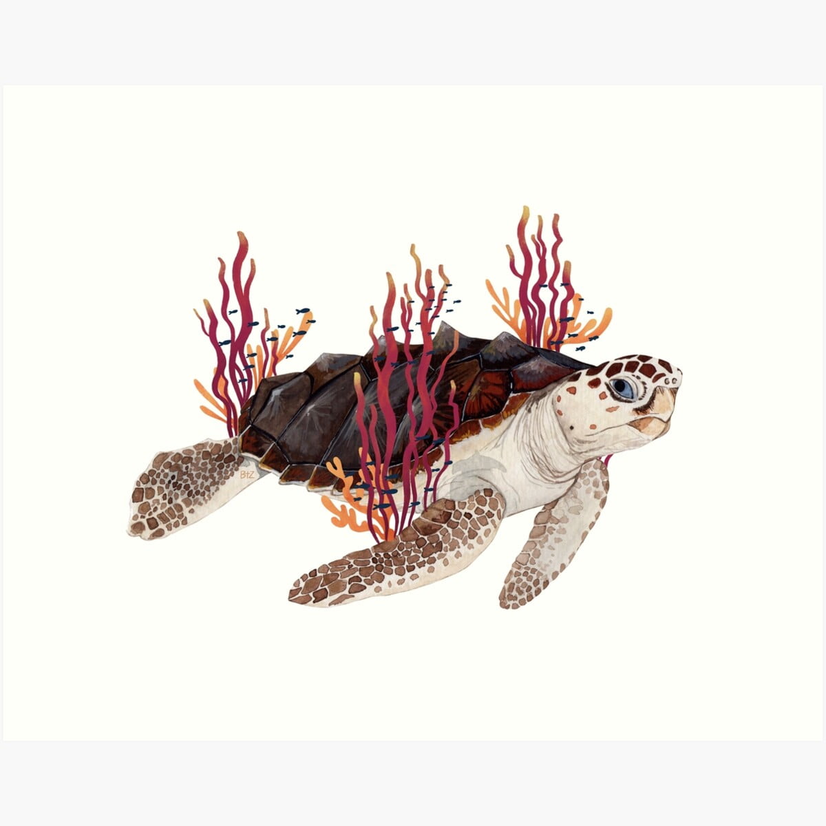 Poster Loggerhead Turtle With Corals - No Framed, Vintage Wall Art ...