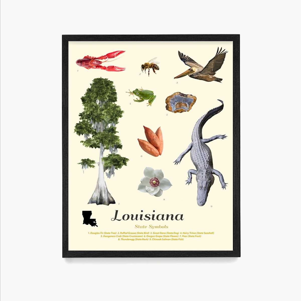 Poster Louisiana State Symbols Typology, Louisiana Poster, Louisiana ...