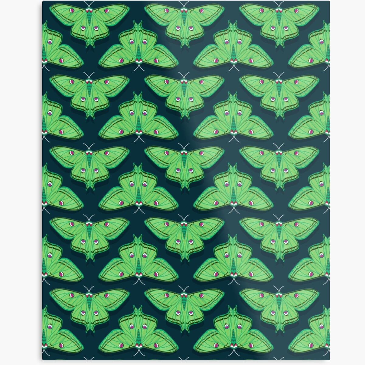 Poster Luna Moth // Botanical Nature Woodland Butterfly Moth Andrea ...