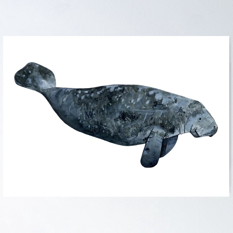 Poster Manatee - No Framed, Vintage Wall Art, Trendy Retro Print ...