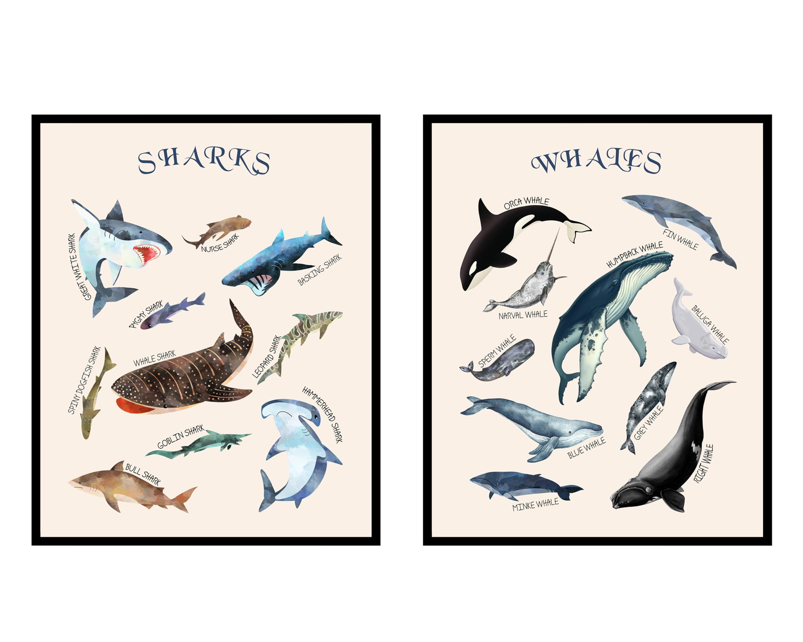 Poster Master 2-Piece Aquatic Poster - Sharks and Whales Print - Marine ...