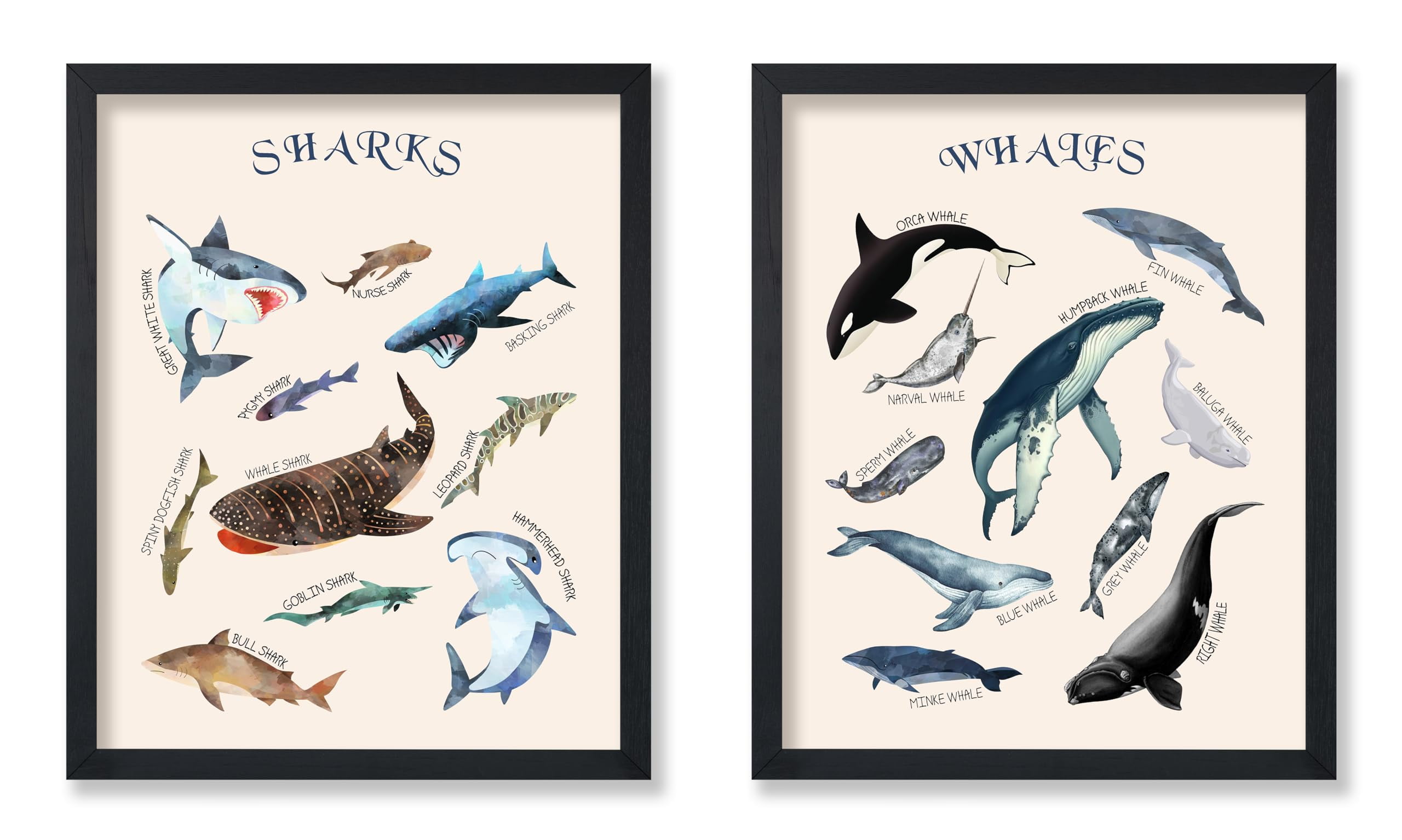 Poster Master 2-Piece Aquatic Poster - Sharks and Whales Print - Marine ...