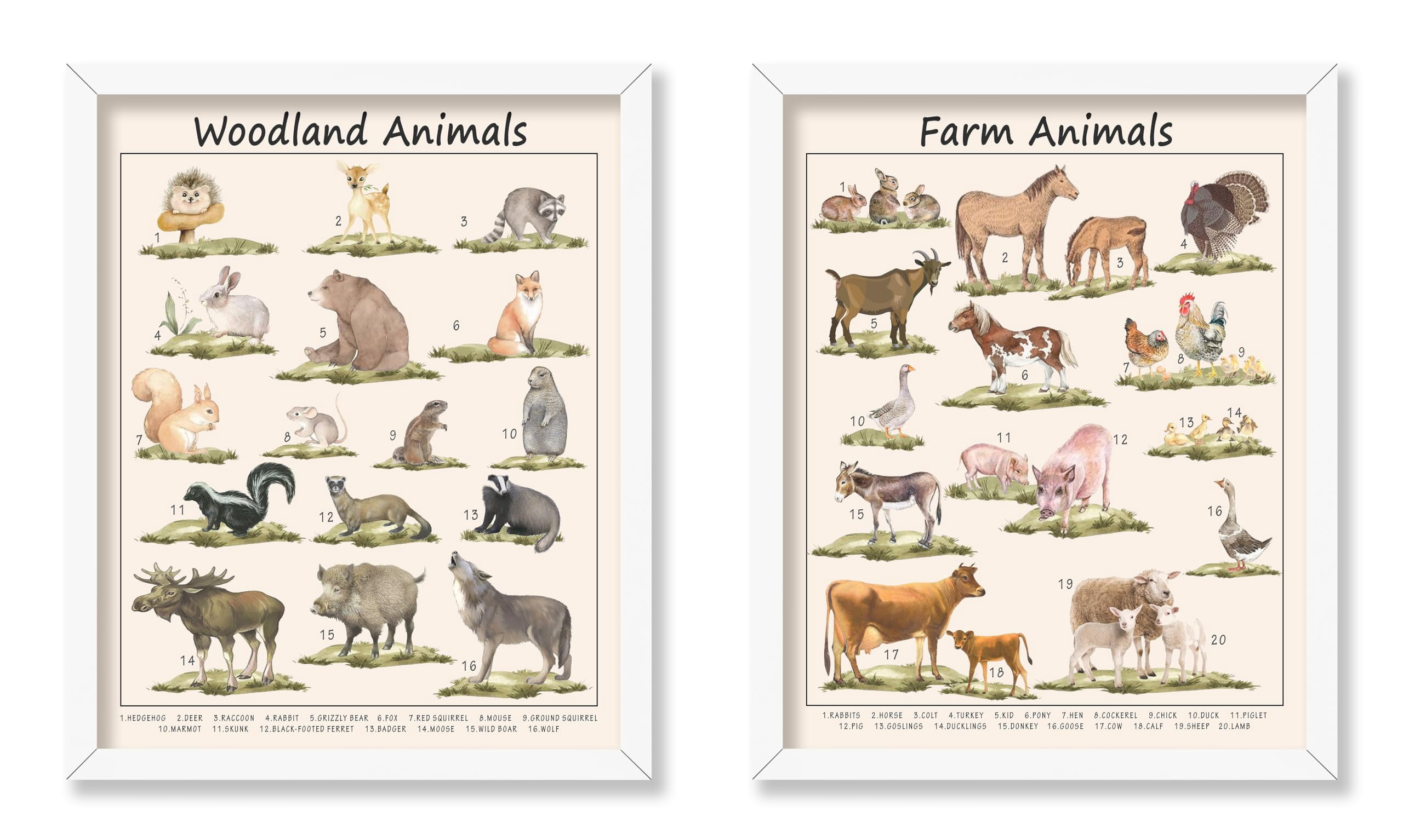 Poster Master 2-Piece Woodlands & Farm Animals Poster - Educational ...