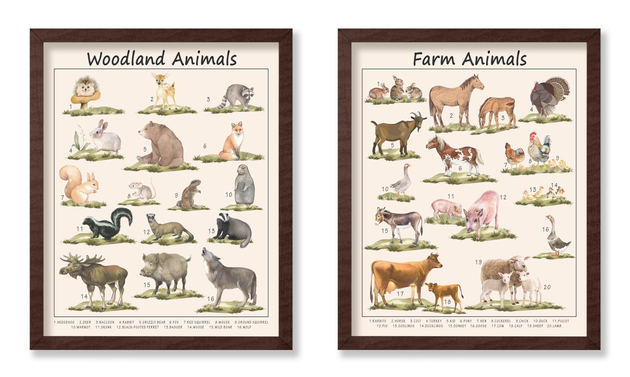 Poster Master 2-Piece Woodlands & Farm Animals Poster - Educational ...