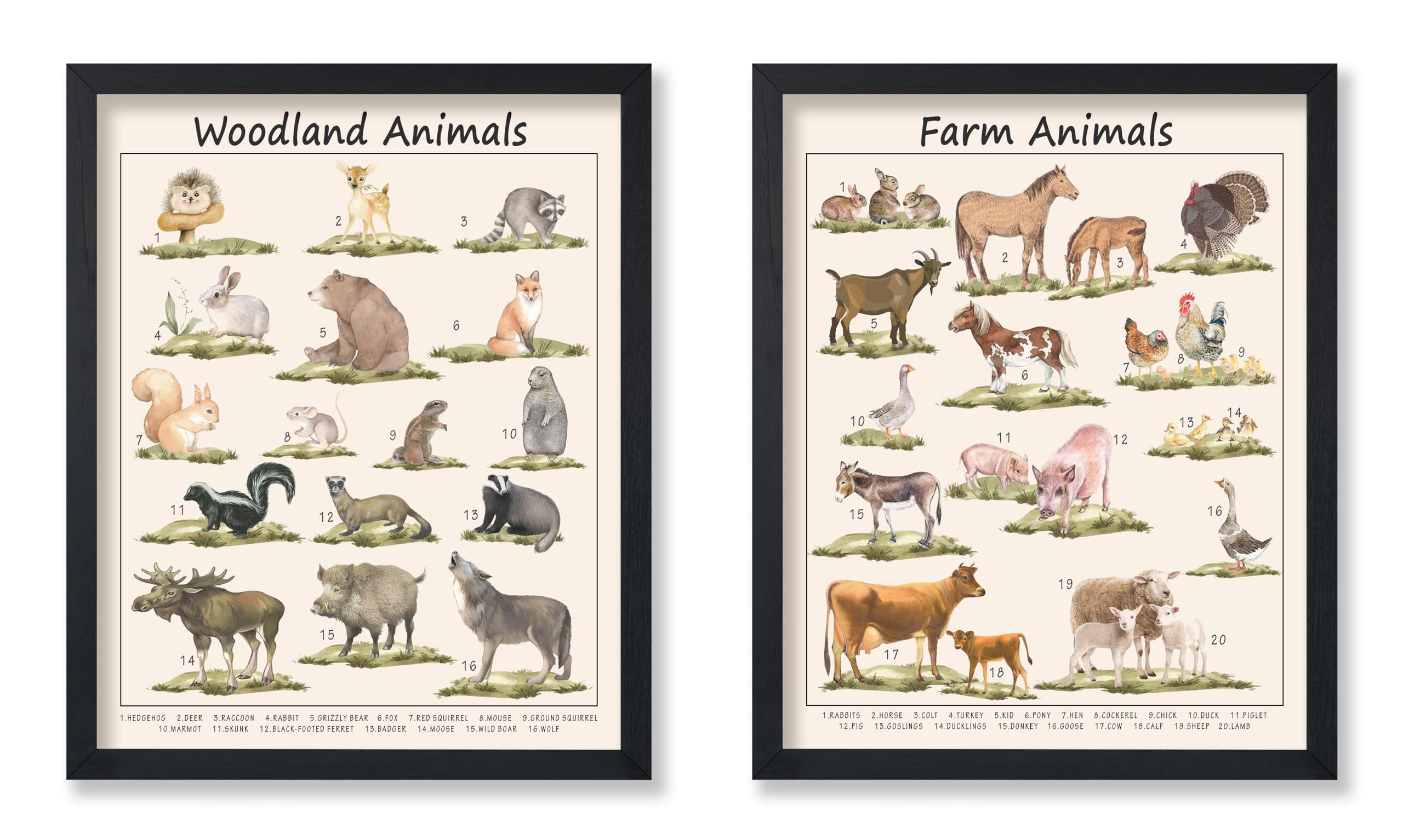 Poster Master 2-Piece Woodlands & Farm Animals Poster - Educational ...