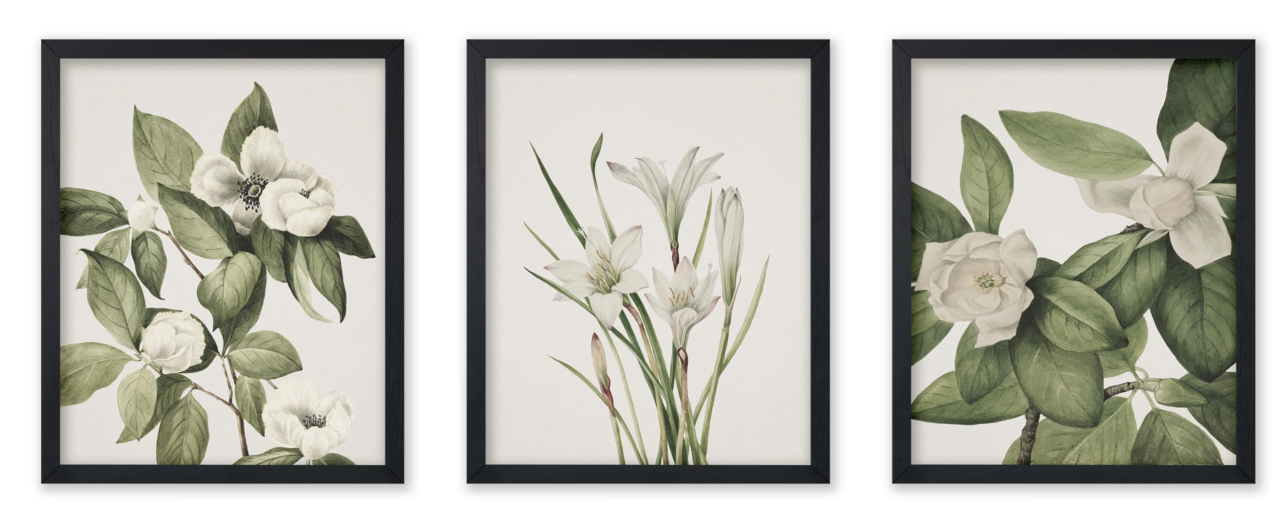 Poster Master 3-Piece Botanical Poster - Floral Print - 16x20 UNFRAMED ...