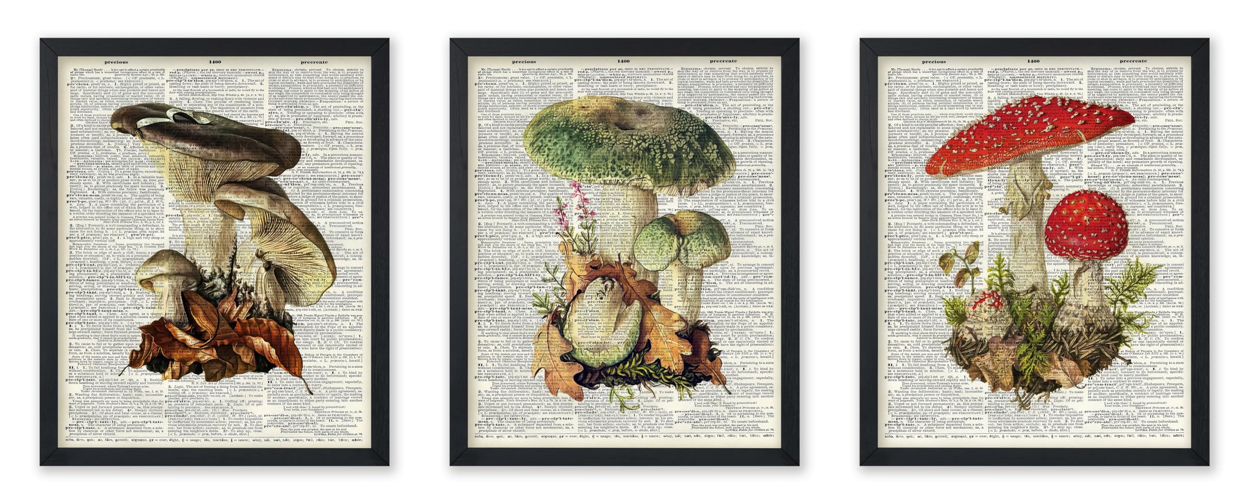 Poster Master 3-Piece Dictionary Art Poster - Retro Mushroom Print ...