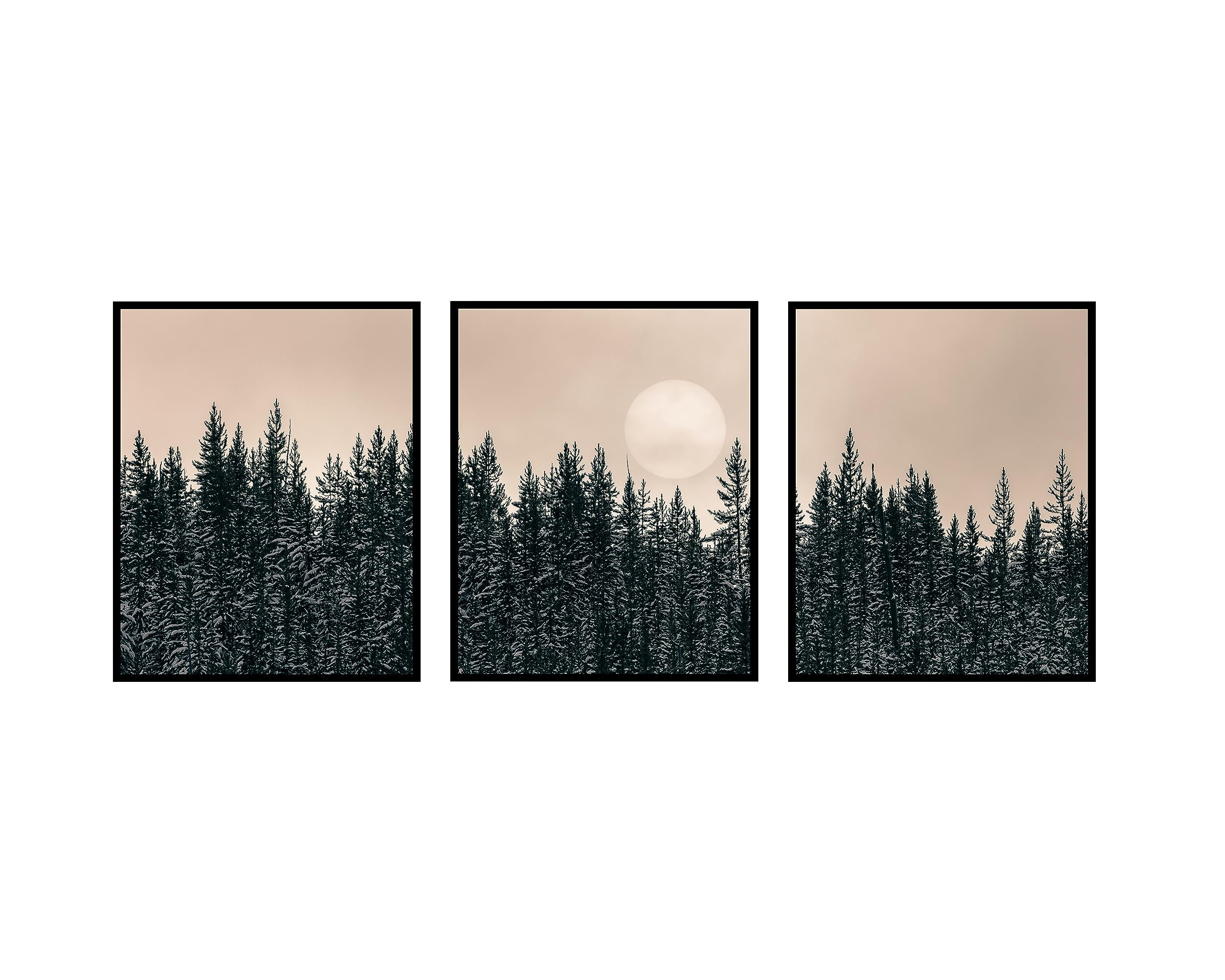 Poster Master 3-Piece Photograph Poster - Modern Print - Dark Forest ...