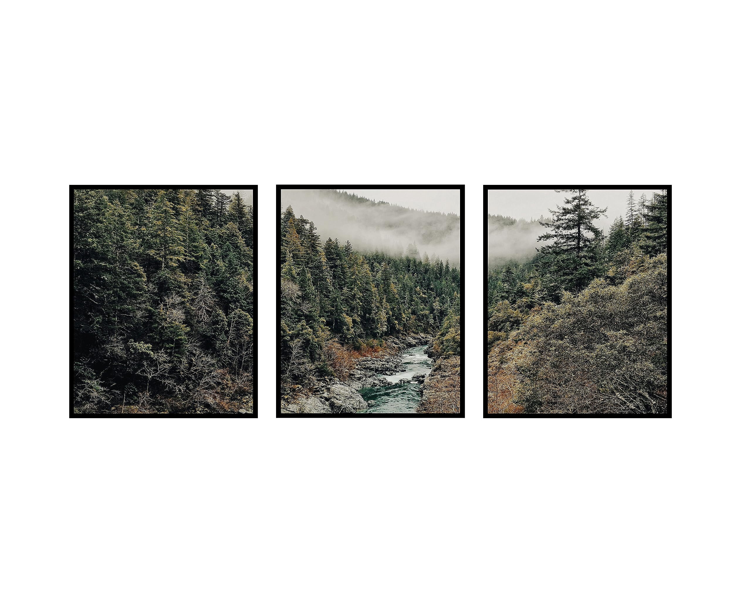 Poster Master 3-Piece Photograph Poster - Modern Print - Foggy Forest ...
