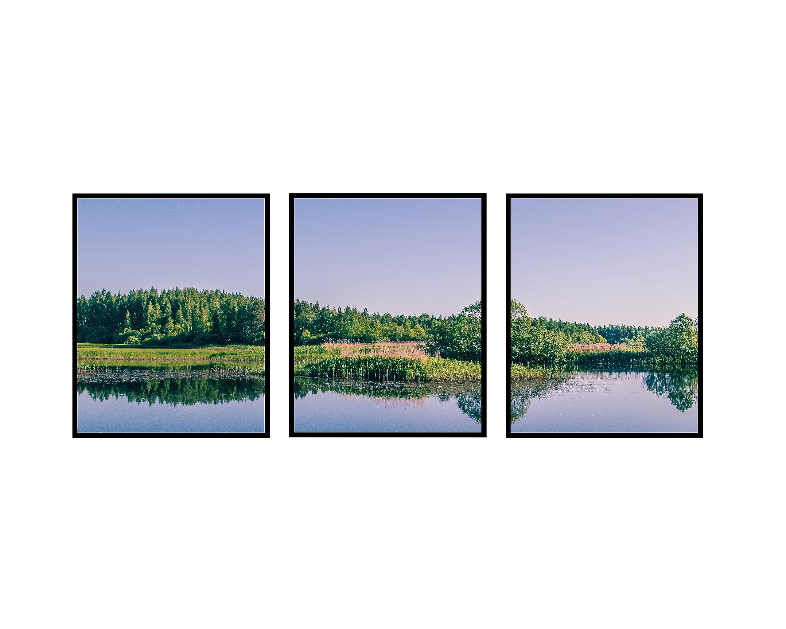 Poster Master 3-Piece Photograph Poster - Modern Print - Forest ...