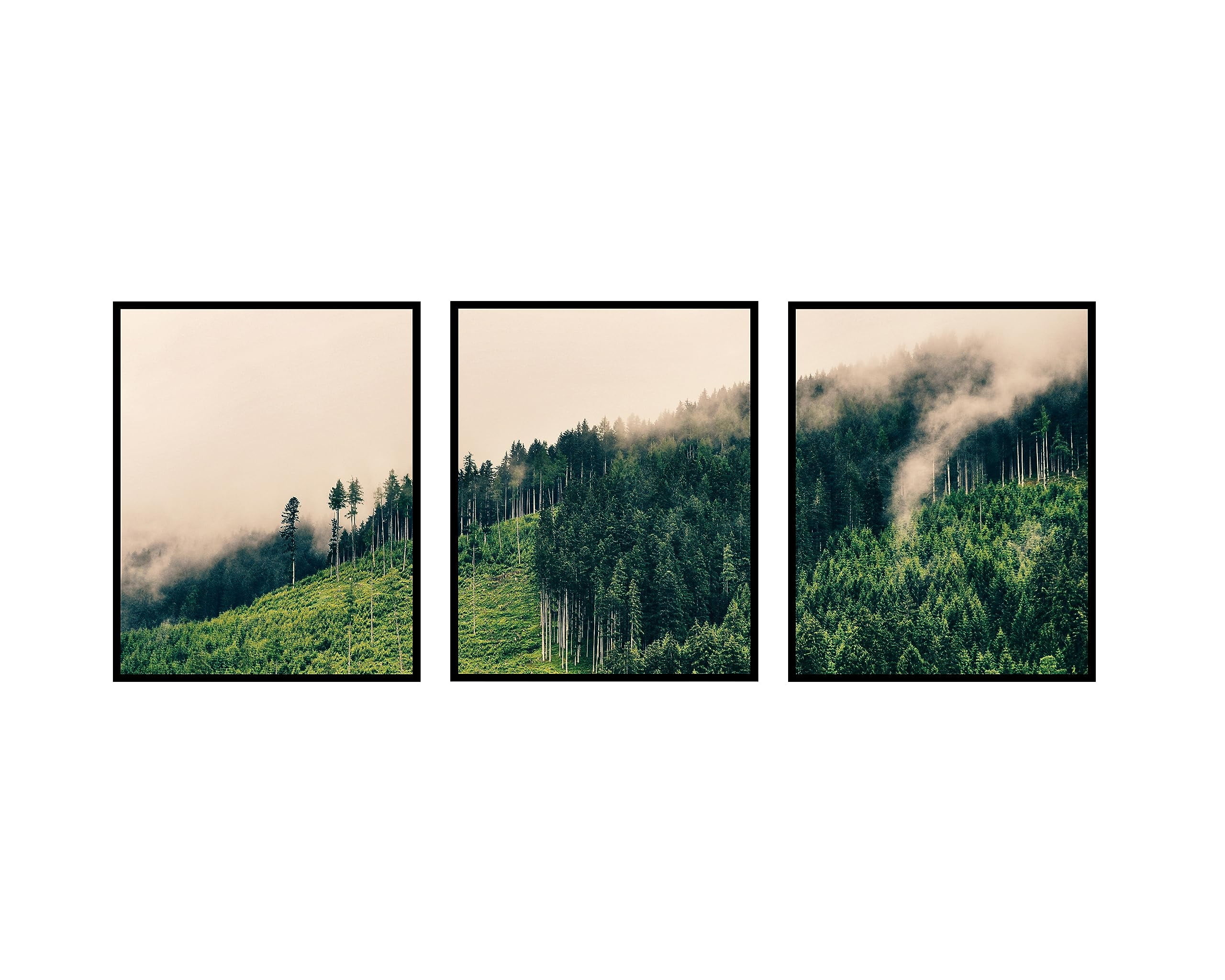 Poster Master 3-Piece Photograph Poster - Modern Print - Forest, Smoky ...