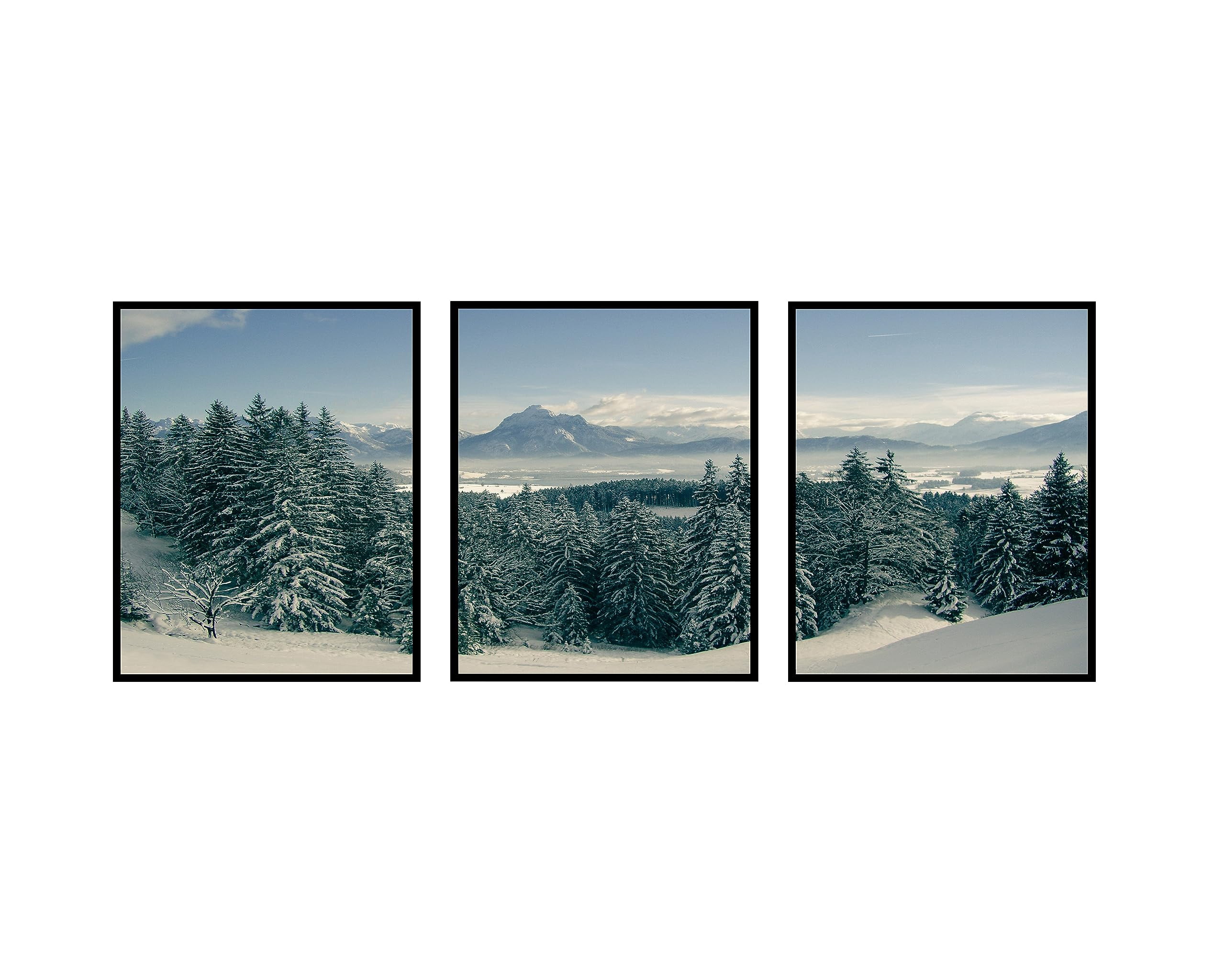 Poster Master 3-Piece Photograph Poster - Modern Print - Forest, Snowy ...