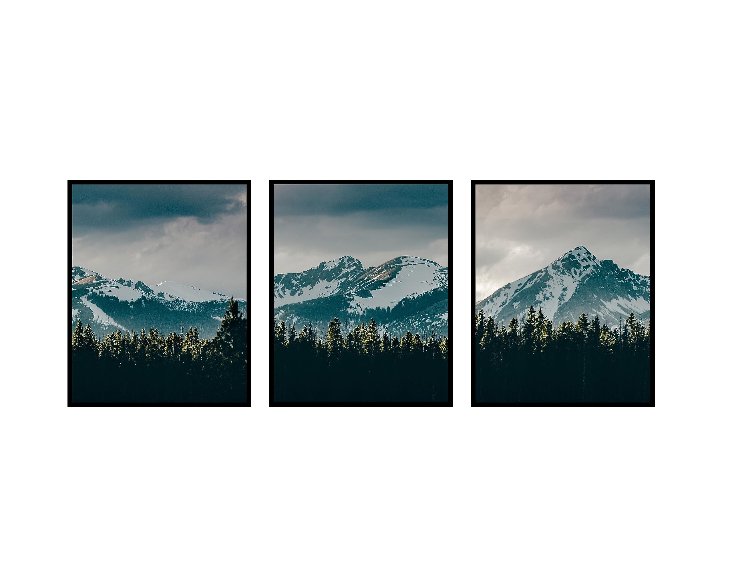 Poster Master 3-Piece Photograph Poster - Modern Print - Forest, Snowy ...