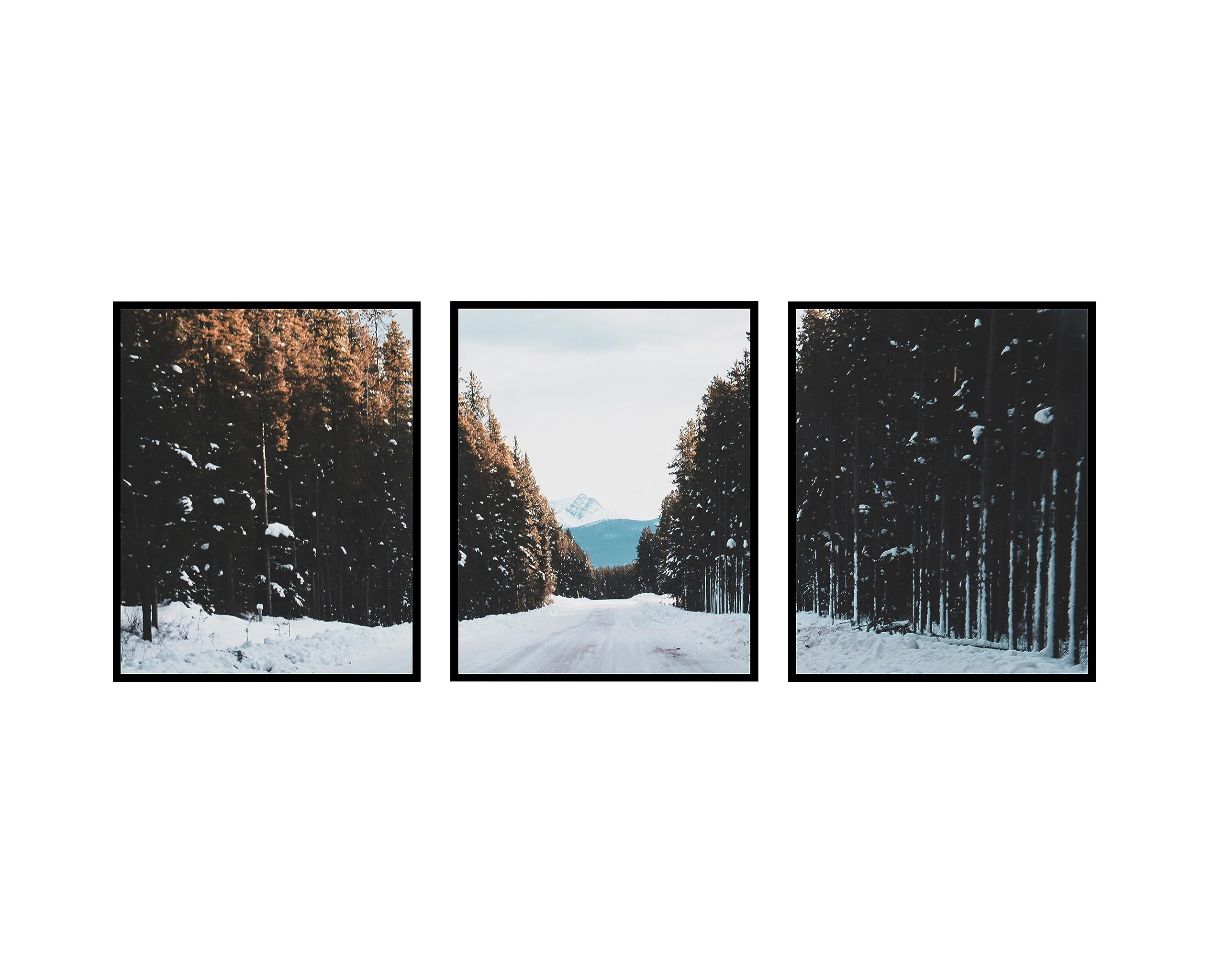 Poster Master 3-Piece Photograph Poster - Modern Print - Forest, Snowy ...