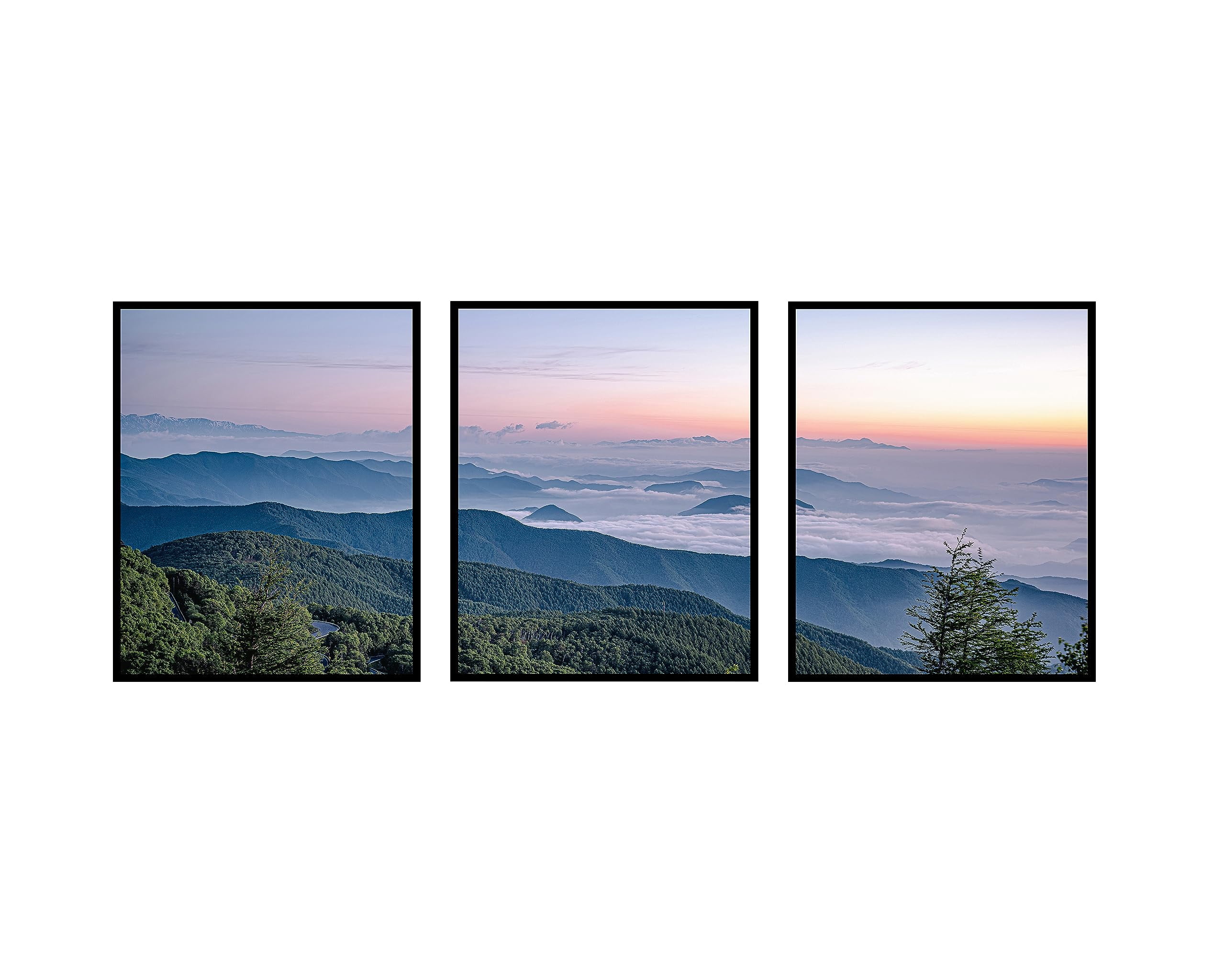 Poster Master 3-Piece Photograph Poster - Modern Print - Forest ...