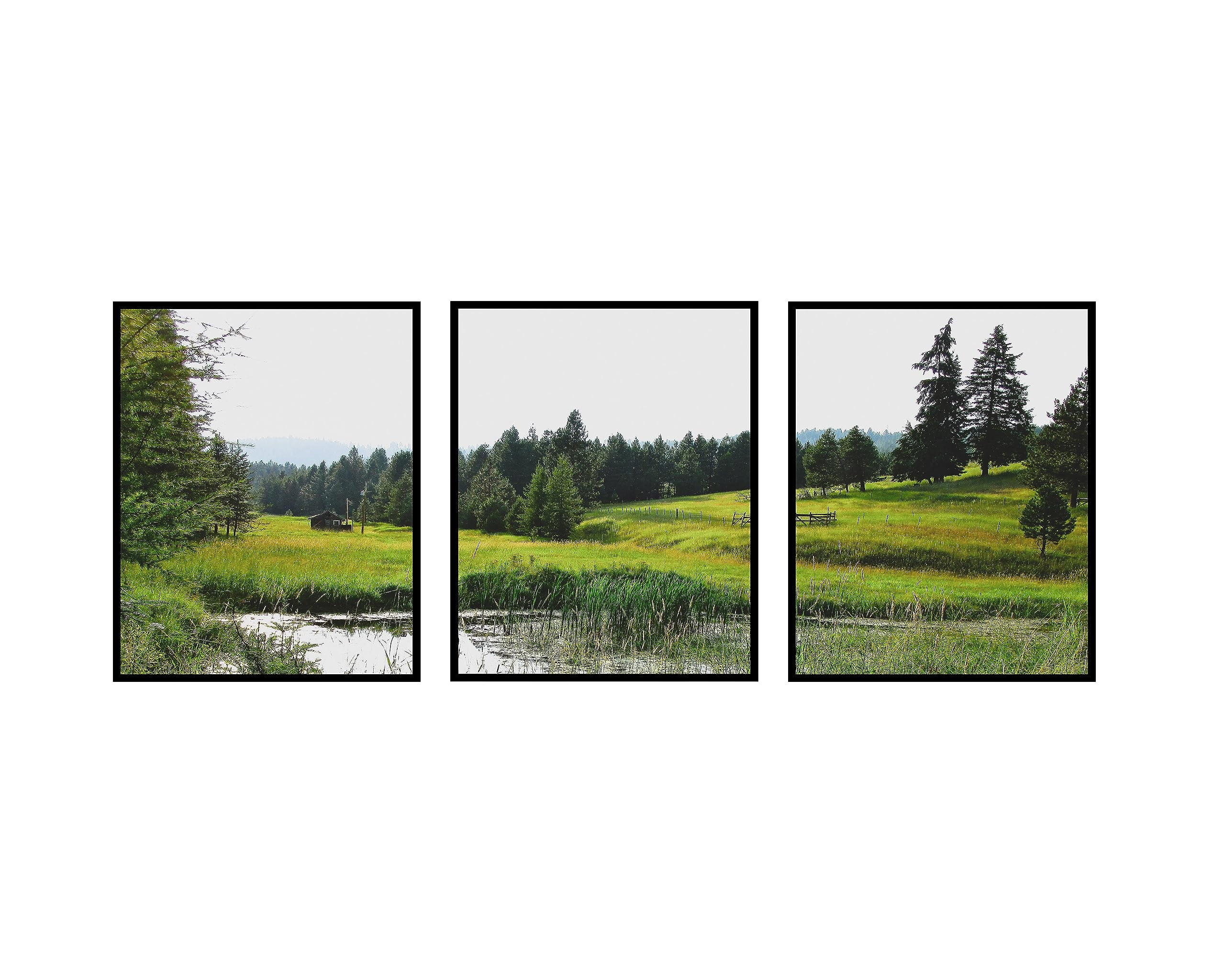 Poster Master 3-Piece Photograph Poster - Modern Print - Forest, Swamp ...