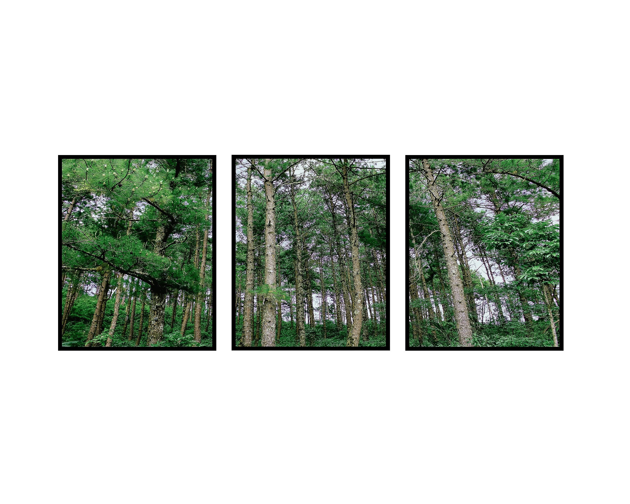 Poster Master 3-Piece Photograph Poster - Modern Print - Landscape ...