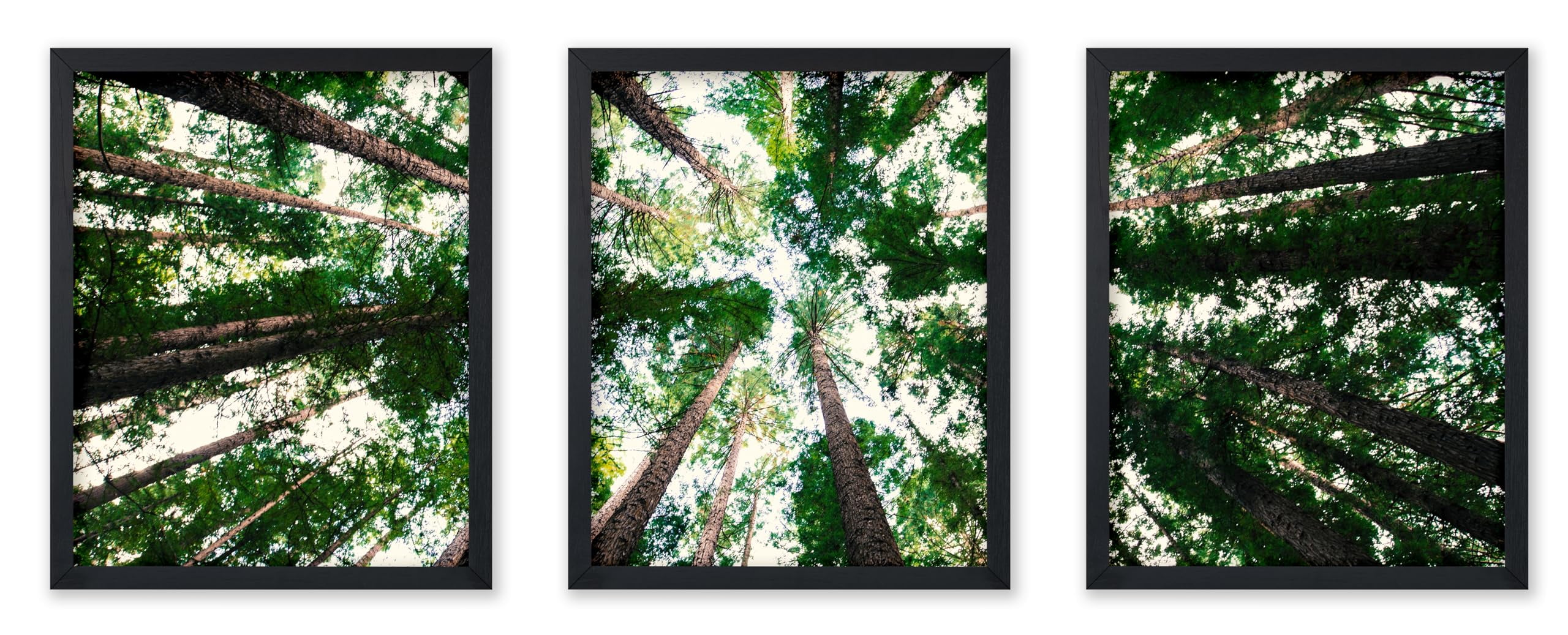 Poster Master 3-Piece Photograph Poster - Modern Print - Landscape ...