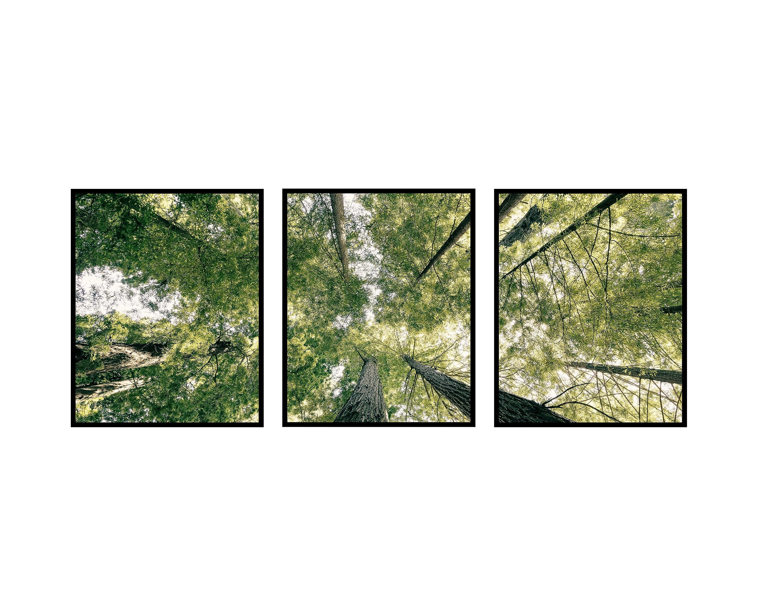 Poster Master 3-Piece Photograph Poster - Modern Print - Landscape, Low ...