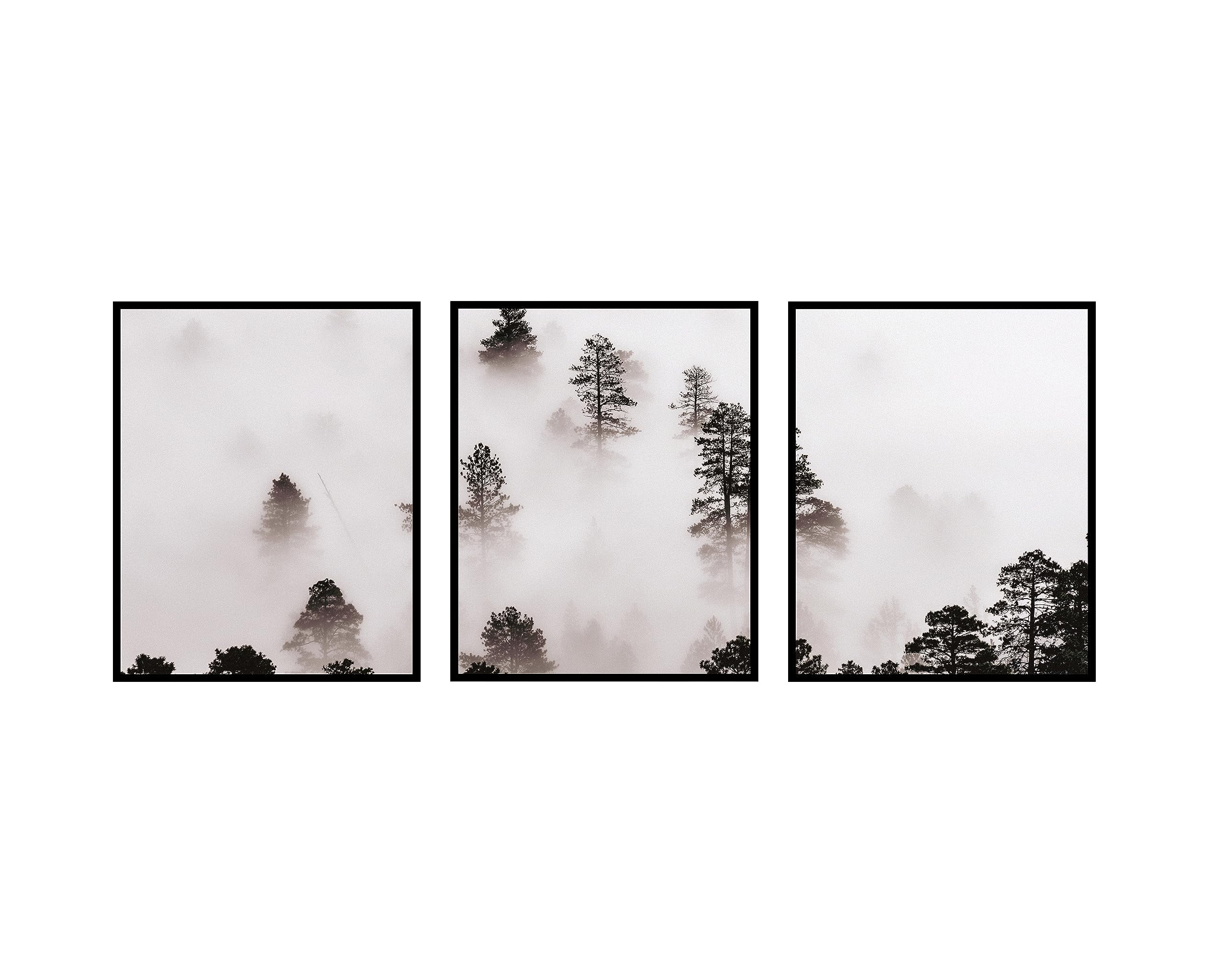Poster Master 3-Piece Photograph Poster - Modern Print - Misty Forest ...