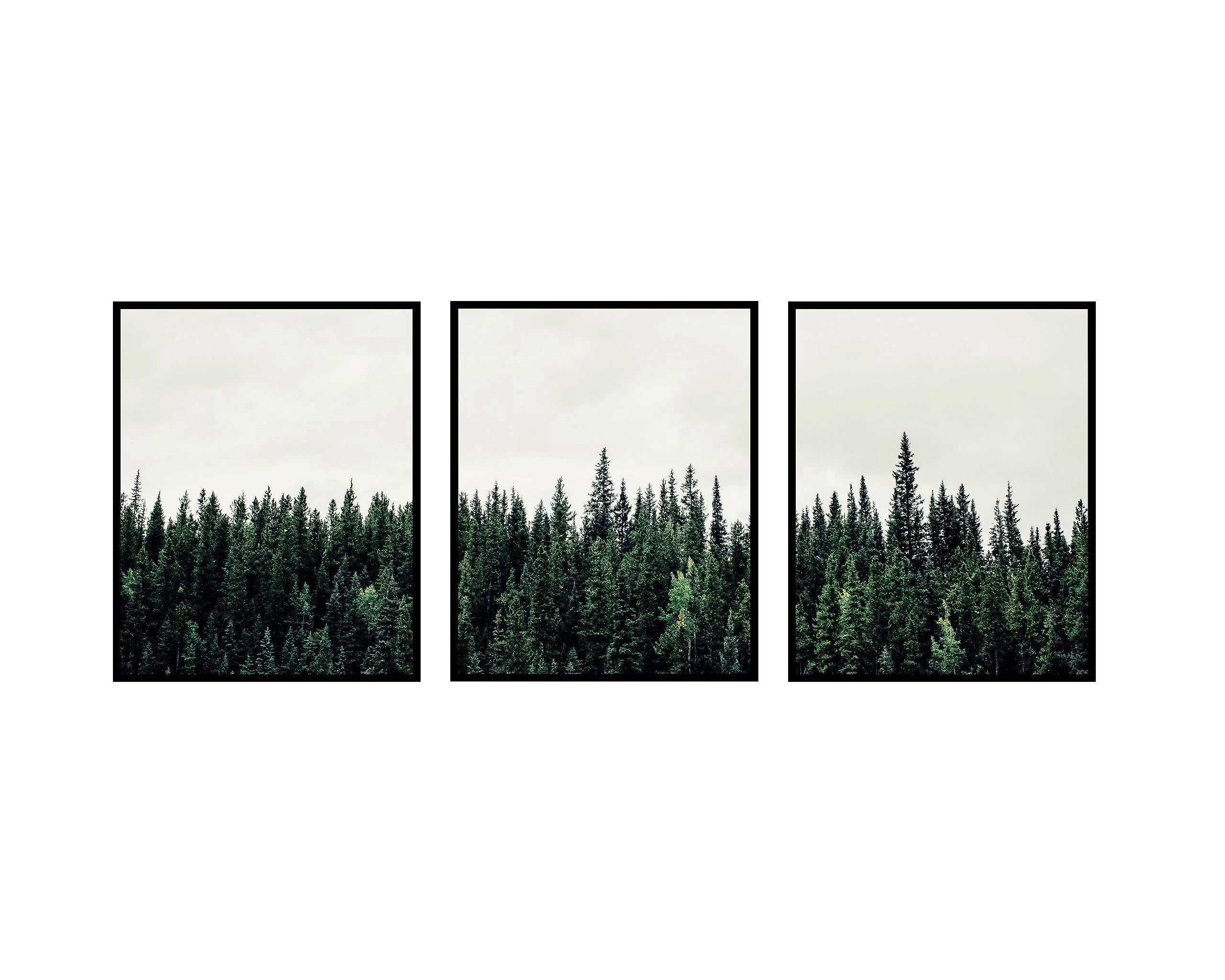 Poster Master 3-Piece Photograph Poster - Modern Print - Natural ...