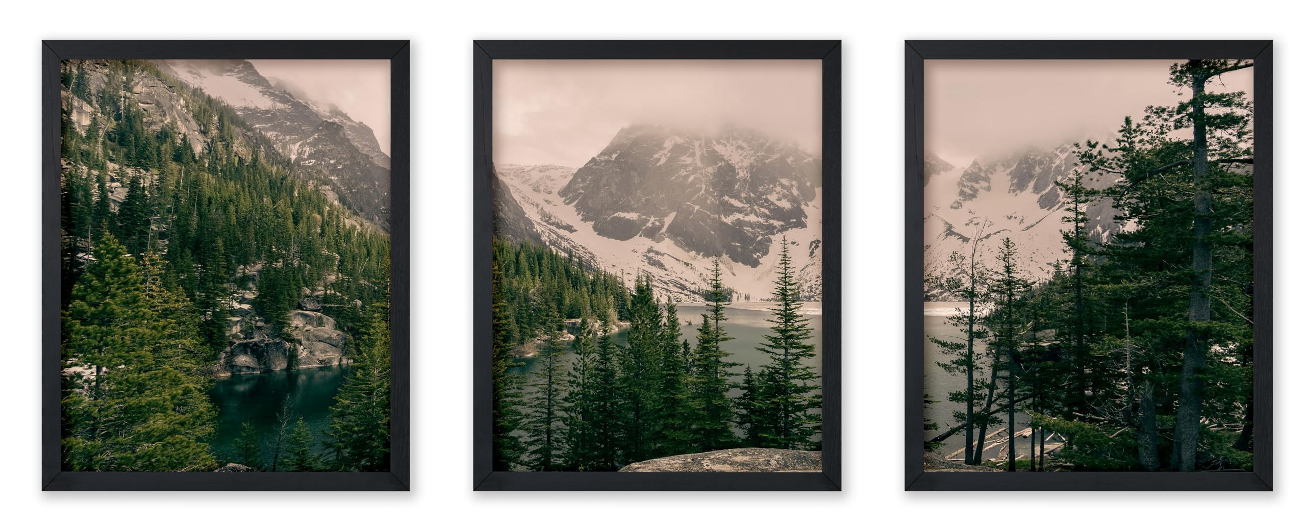 Poster Master 3-Piece Photograph Poster - Modern Print - Natural ...