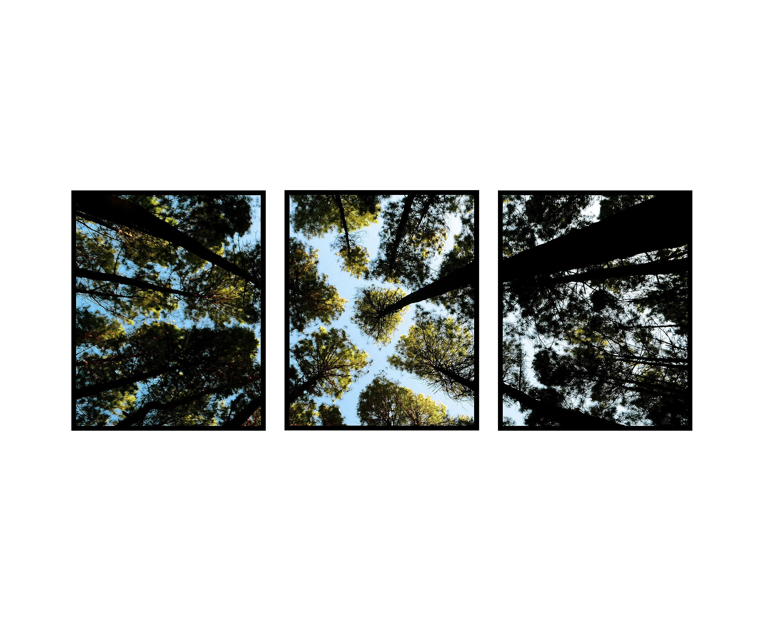 Poster Master 3-Piece Photograph Poster - Modern Print - Natural ...