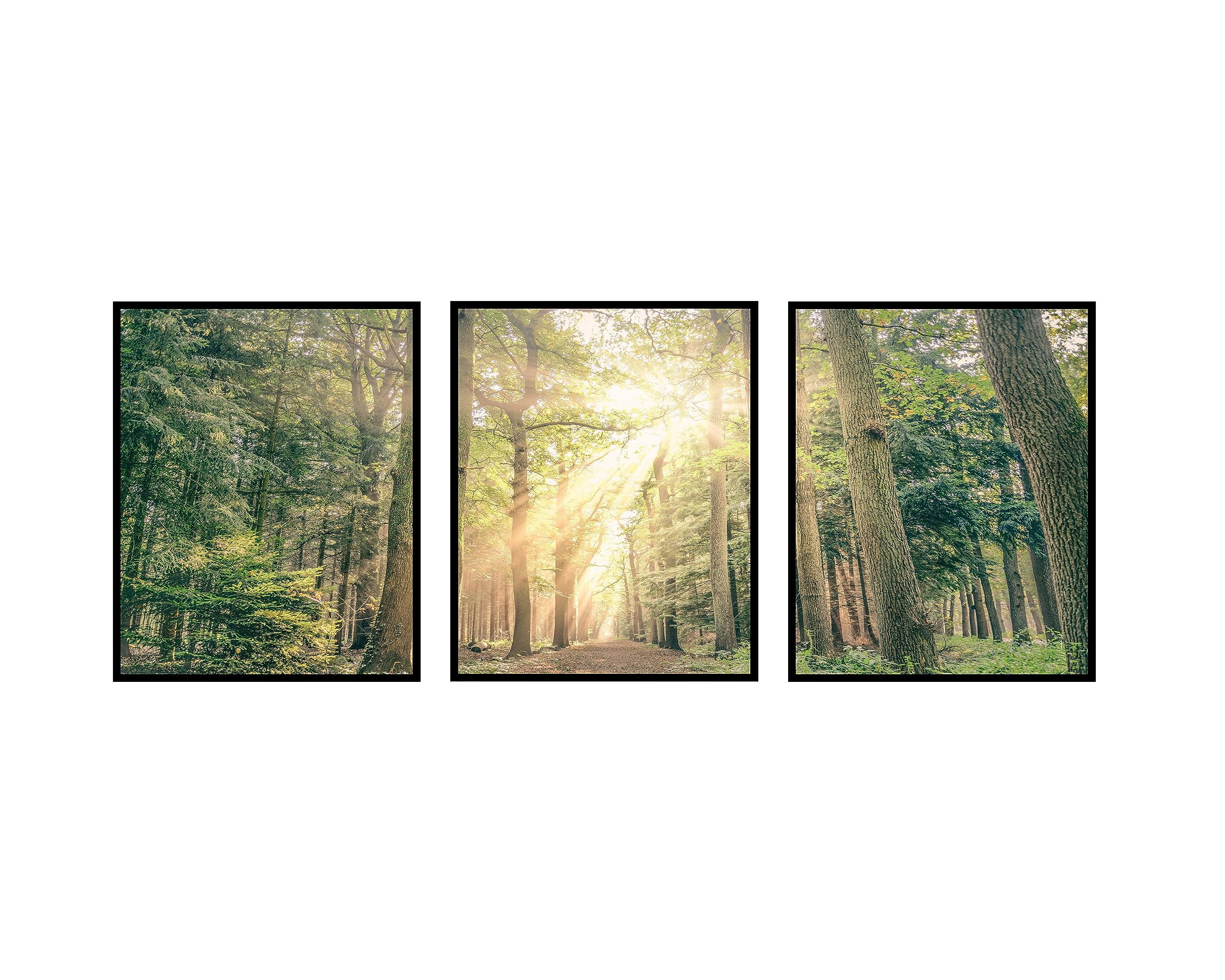 Poster Master 3-Piece Photograph Poster - Modern Print - Woodland ...