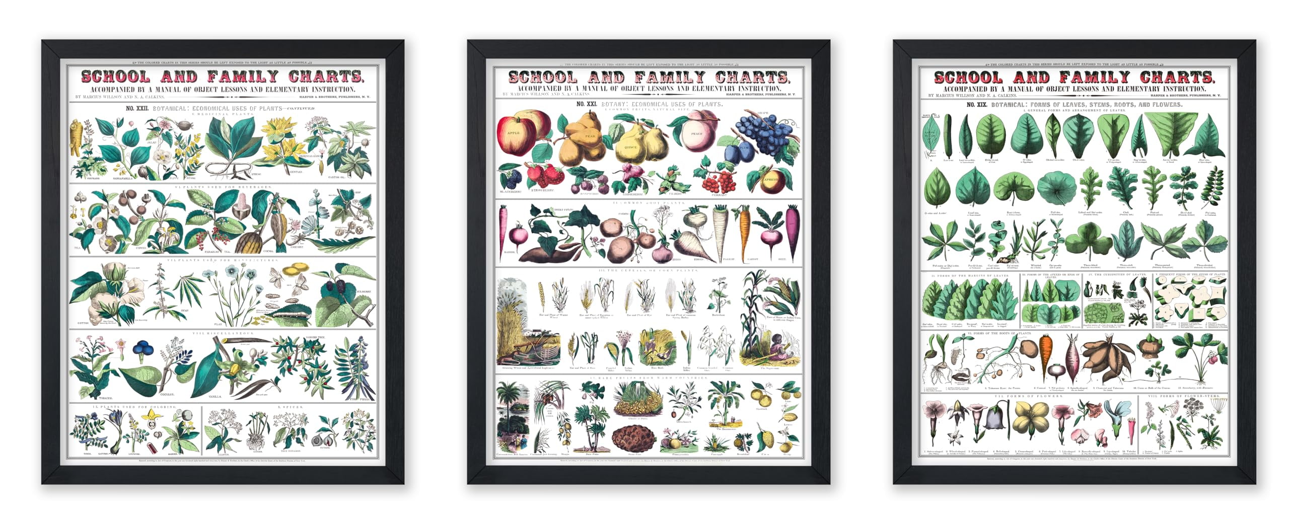 Poster Master 3-Piece Vintage Botanical Poster - Retro Leaves Print ...