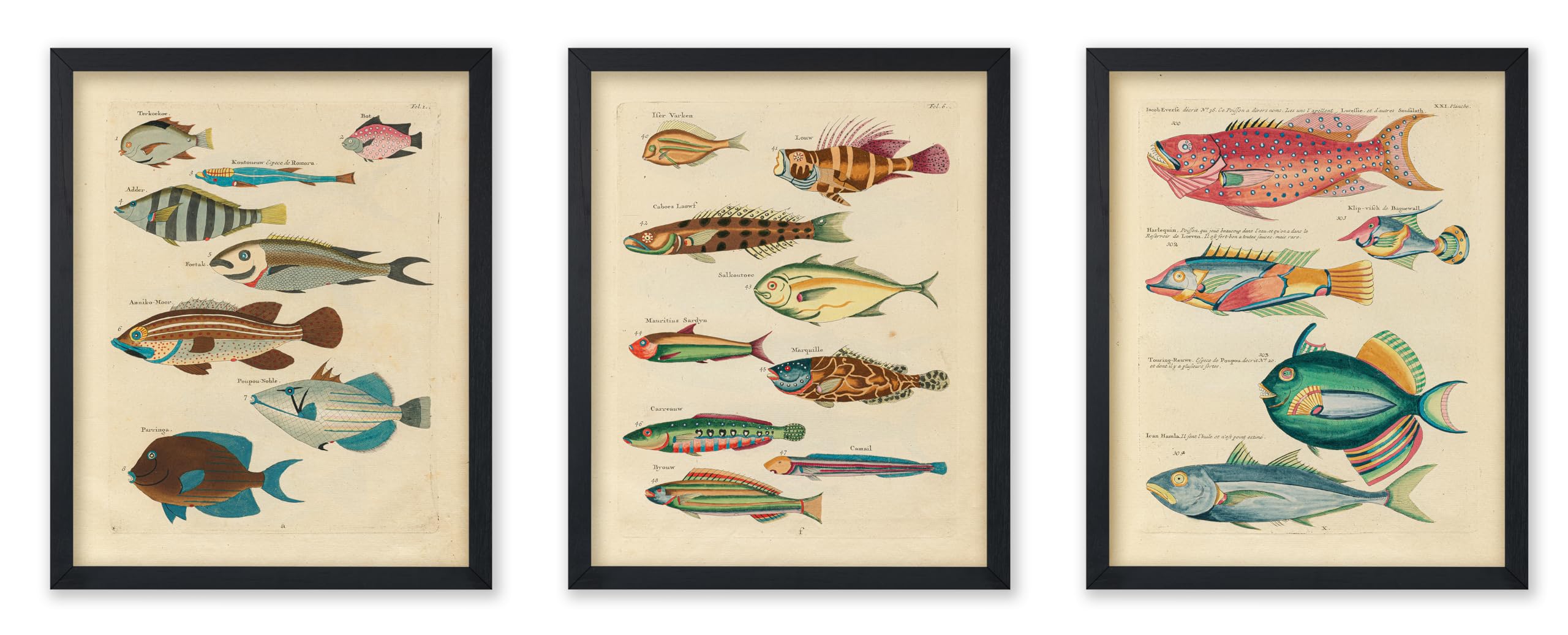 Poster Master 3-Piece Vintage Tropical Fish Poster - Retro Aquatic ...