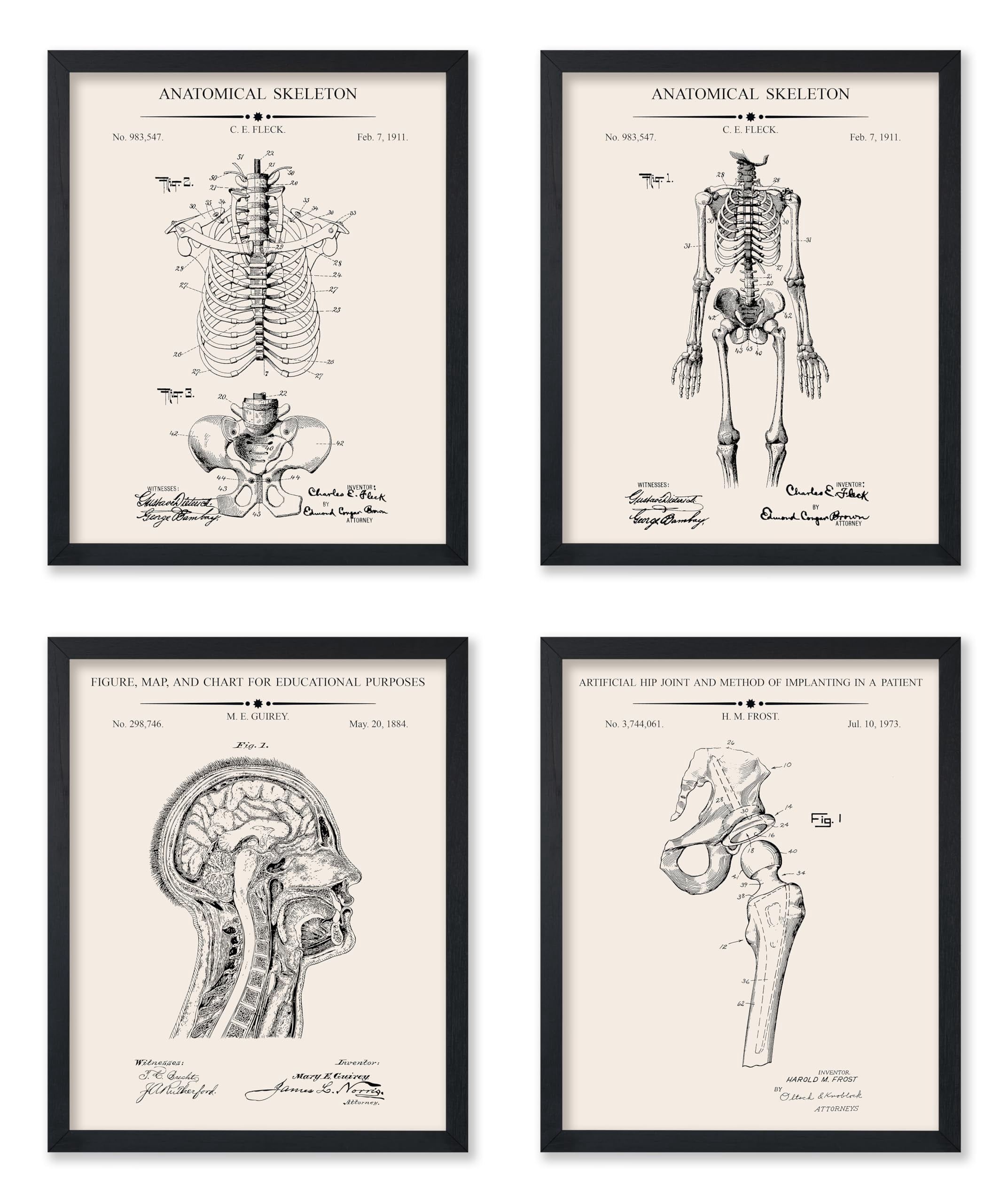 Poster Master 4-Piece Anatomy Blueprint Poster - Skeleton Patent Print ...