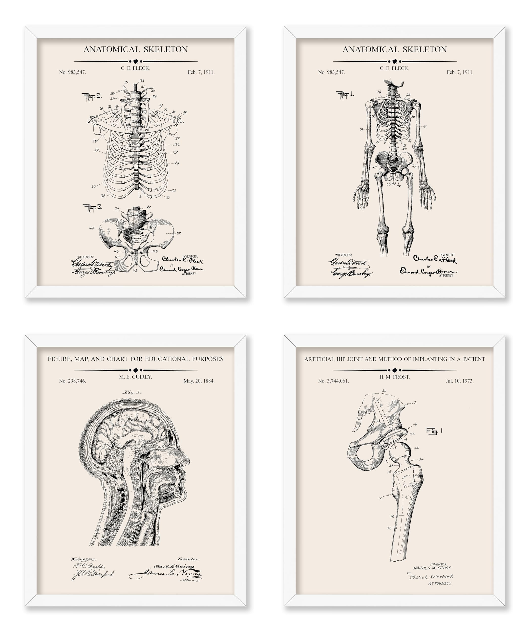 Poster Master 4-Piece Anatomy Blueprint Poster - Skeleton Patent Print ...
