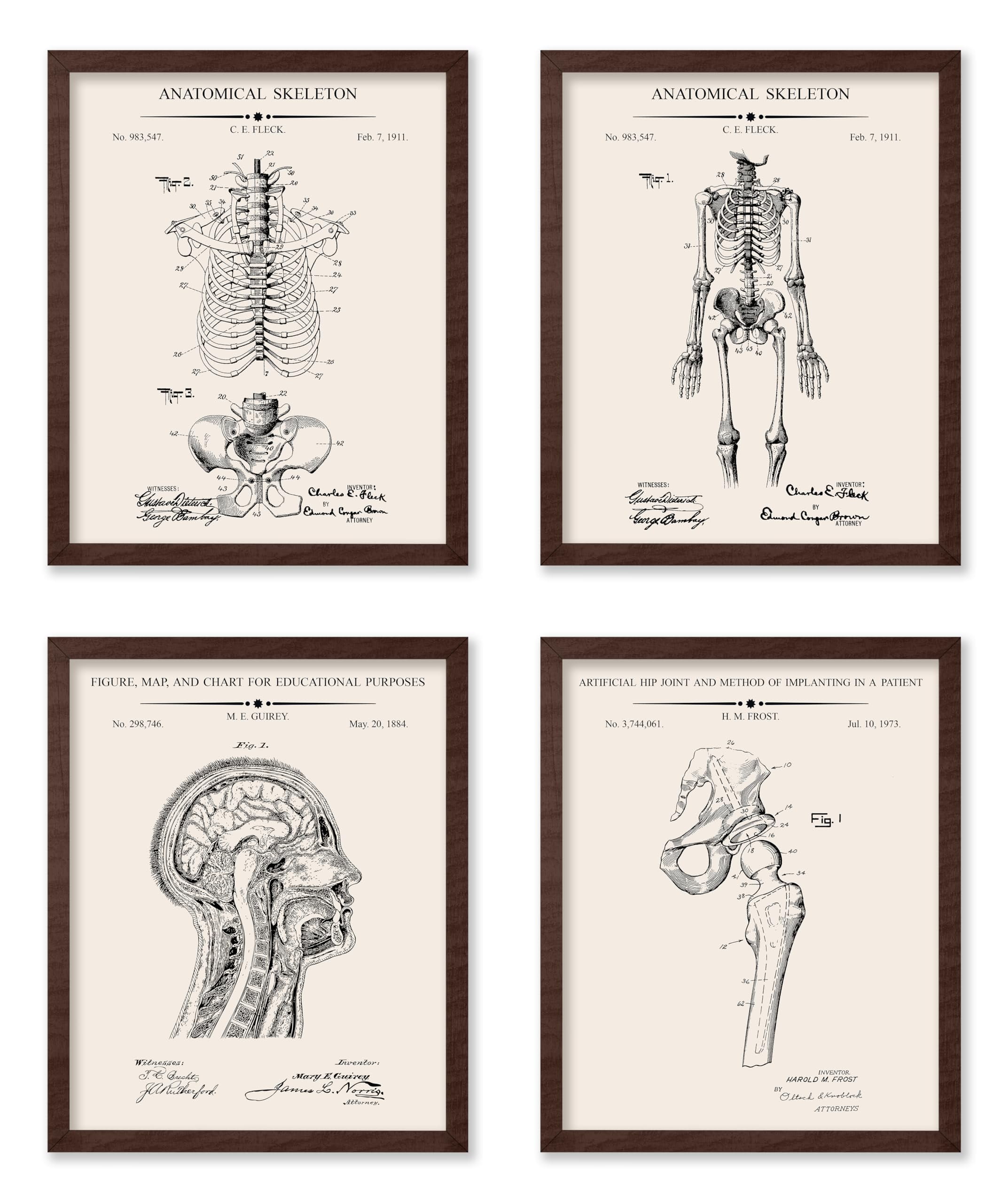 Poster Master 4-Piece Anatomy Blueprint Poster - Skeleton Patent Print ...