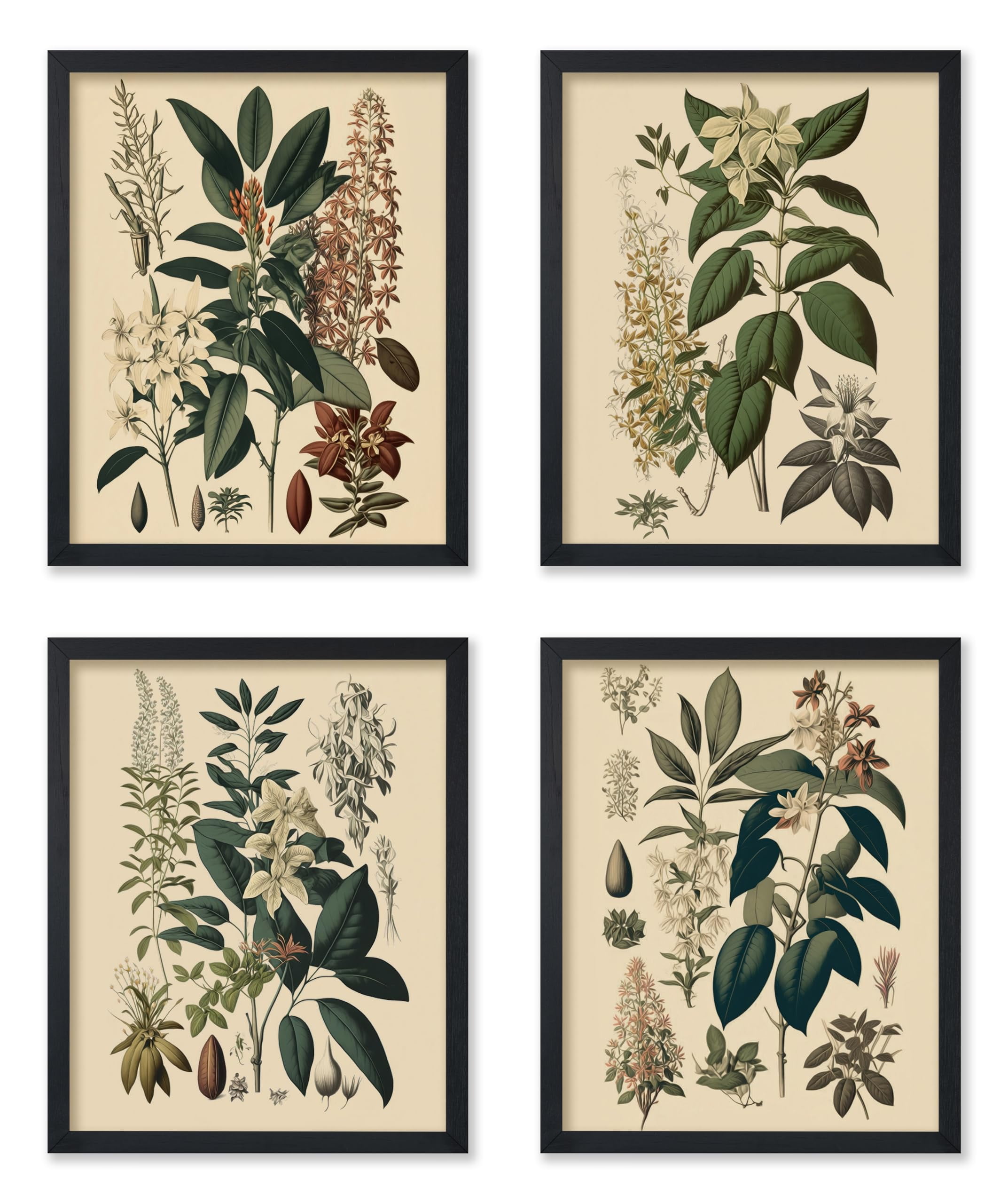 Poster Master 4-Piece Vintage Flower Poster - Retro Floral Print ...