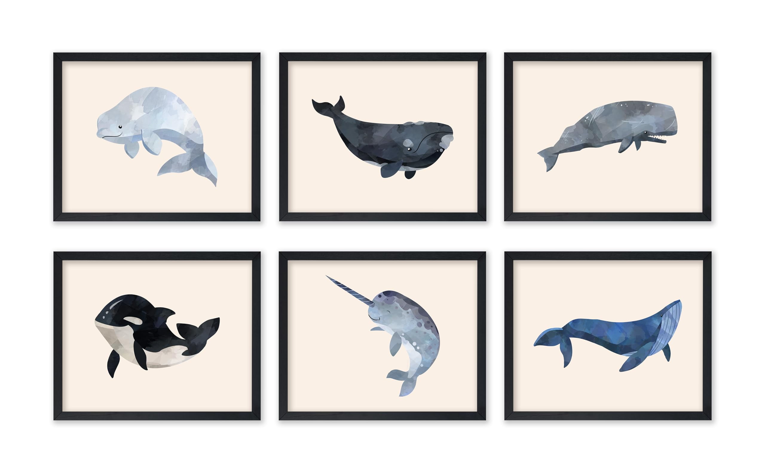 Poster Master 6-Piece Whales Poster - Aquatic Print - Learning Material ...