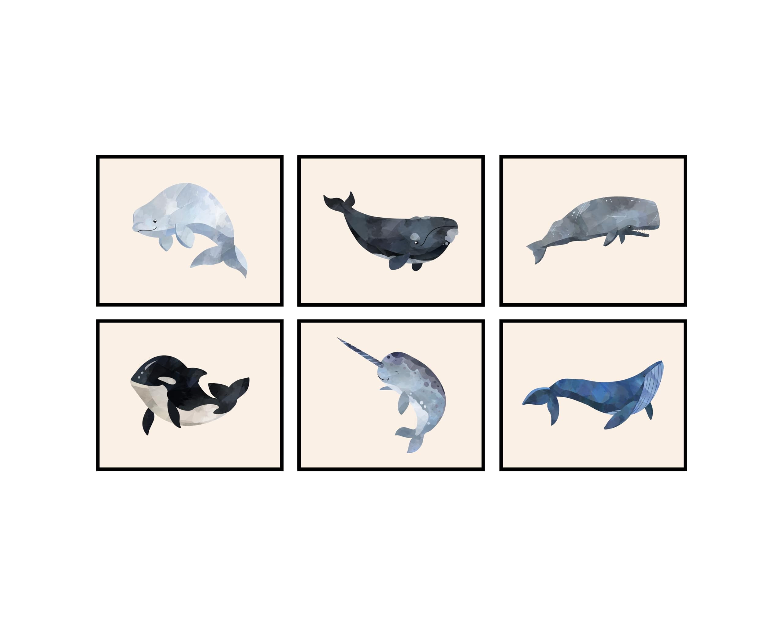 Poster Master 6-Piece Whales Poster - Aquatic Print - Learning Material ...