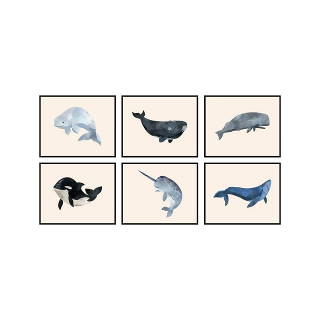Poster Master 6-Piece Whales Poster - Aquatic Print - Learning Material ...