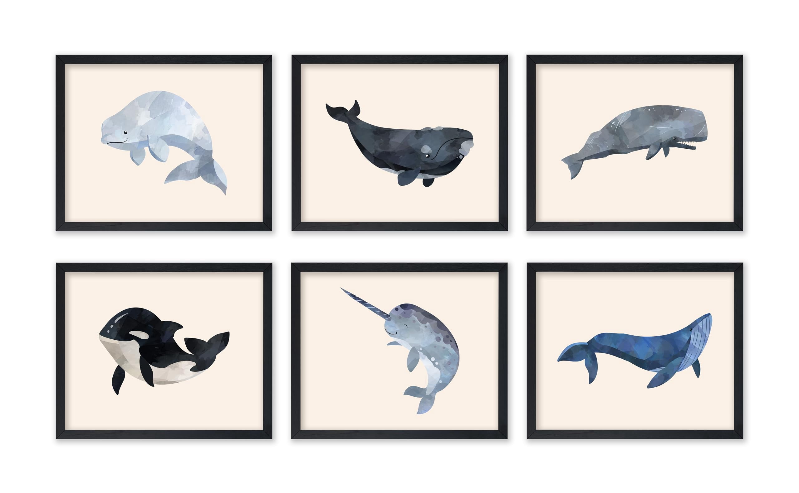 Poster Master 6-Piece Whales Poster - Aquatic Print - Learning Material ...