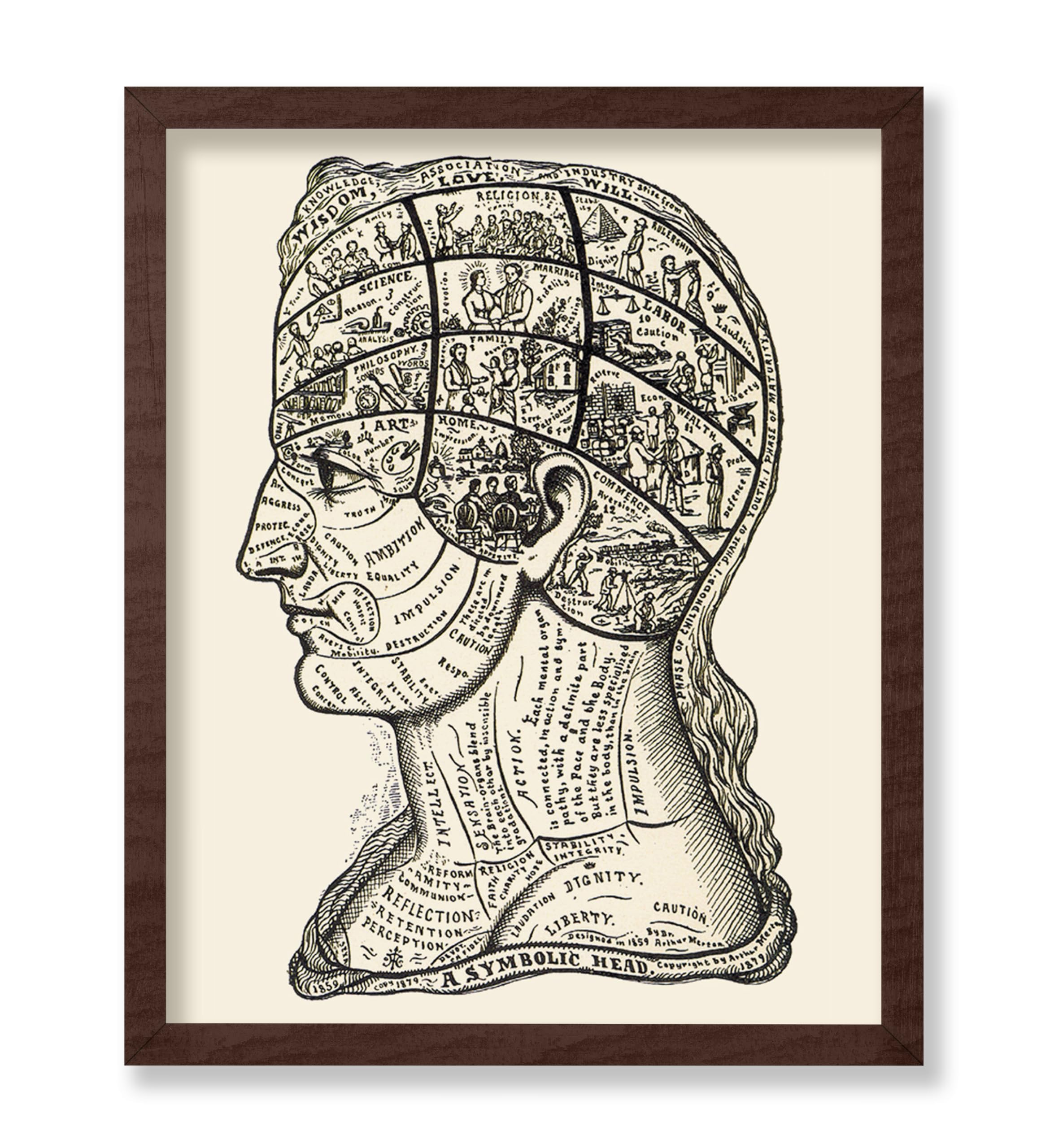 Poster Master A Symbolic Head Phrenology Print 1899 - Phrenology Poster ...