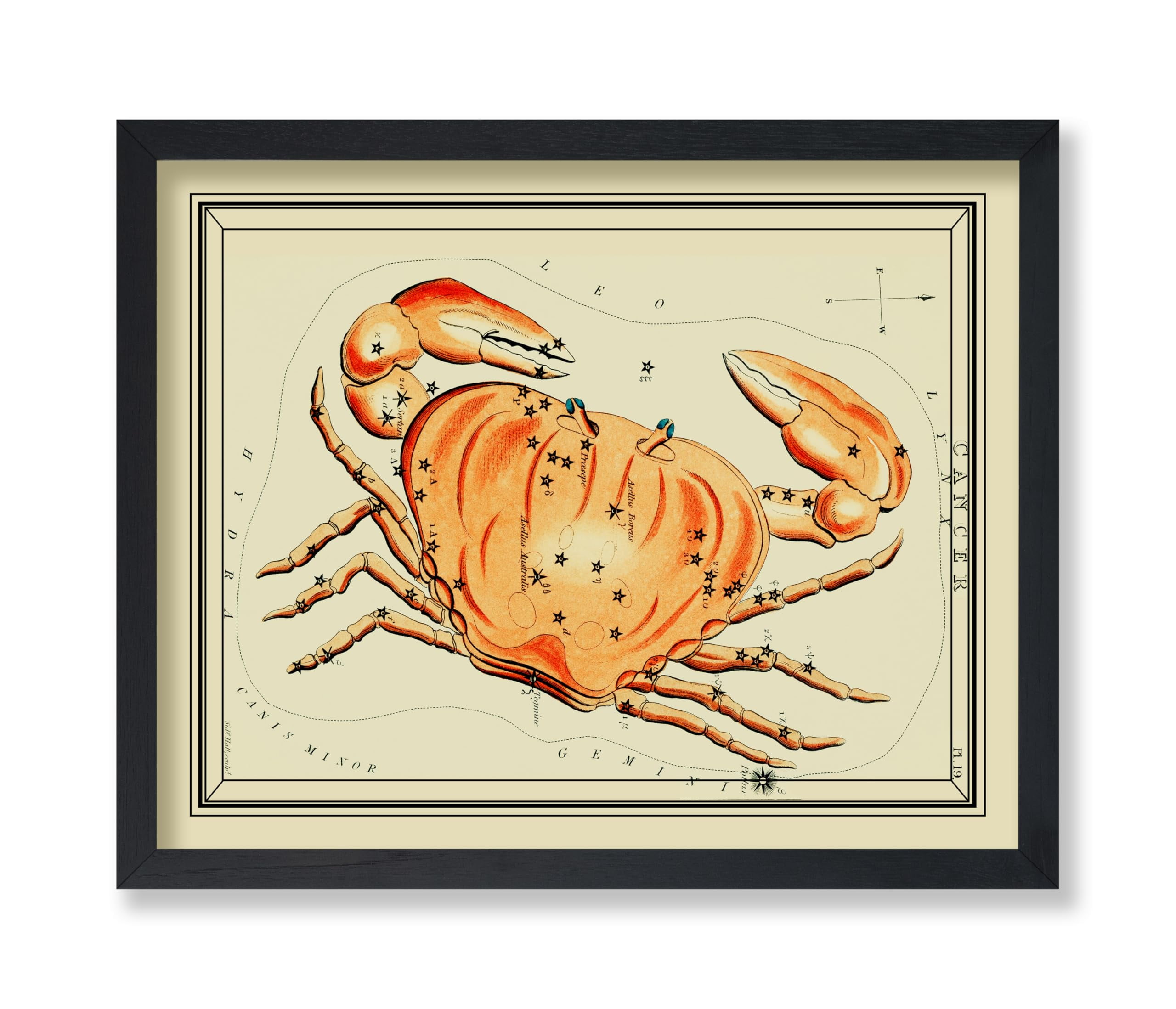 Poster Master Astrology Posters, Cancer Zodiac Constellation Poster ...