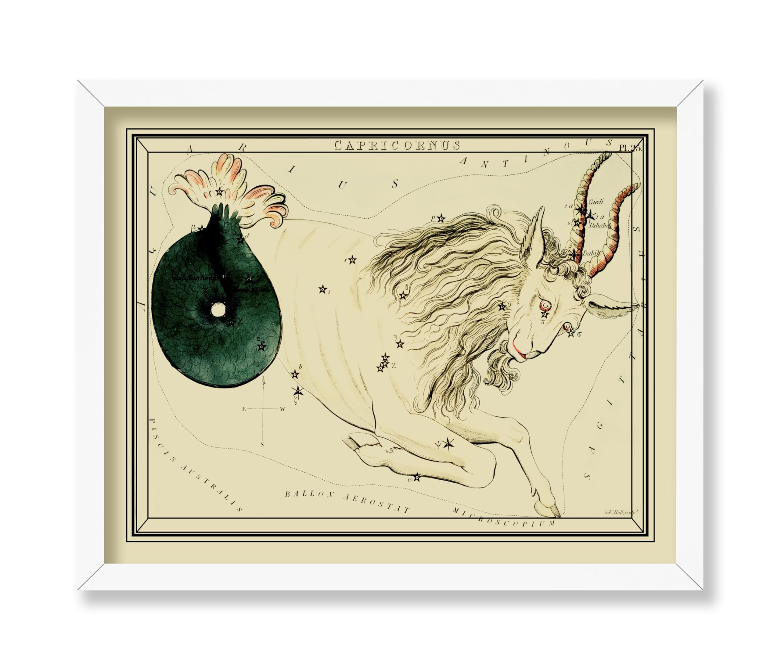 Poster Master Astrology Posters, Capricorn Zodiac Constellation Poster ...