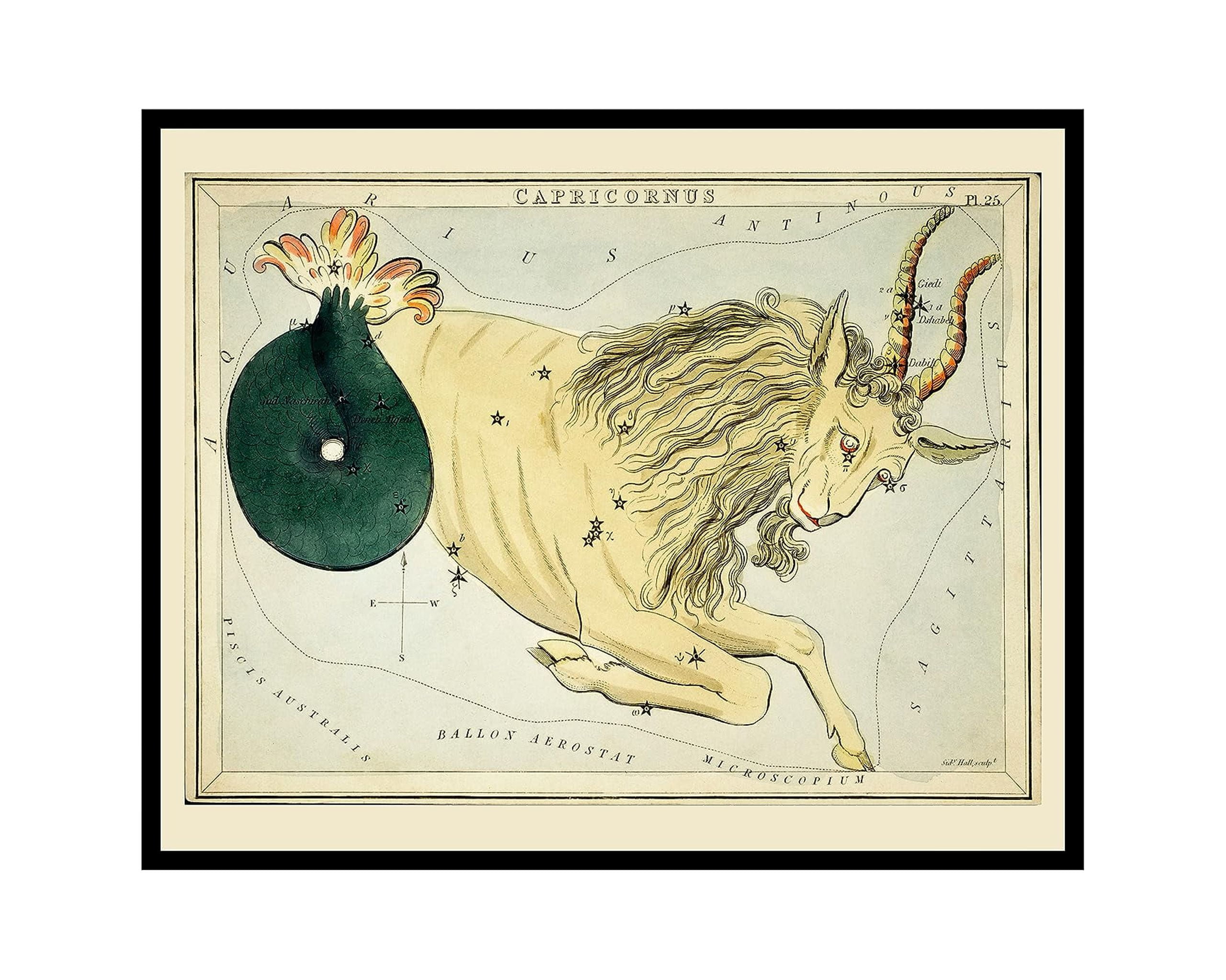 Poster Master Astrology Posters, Capricorn Zodiac Constellation Poster ...