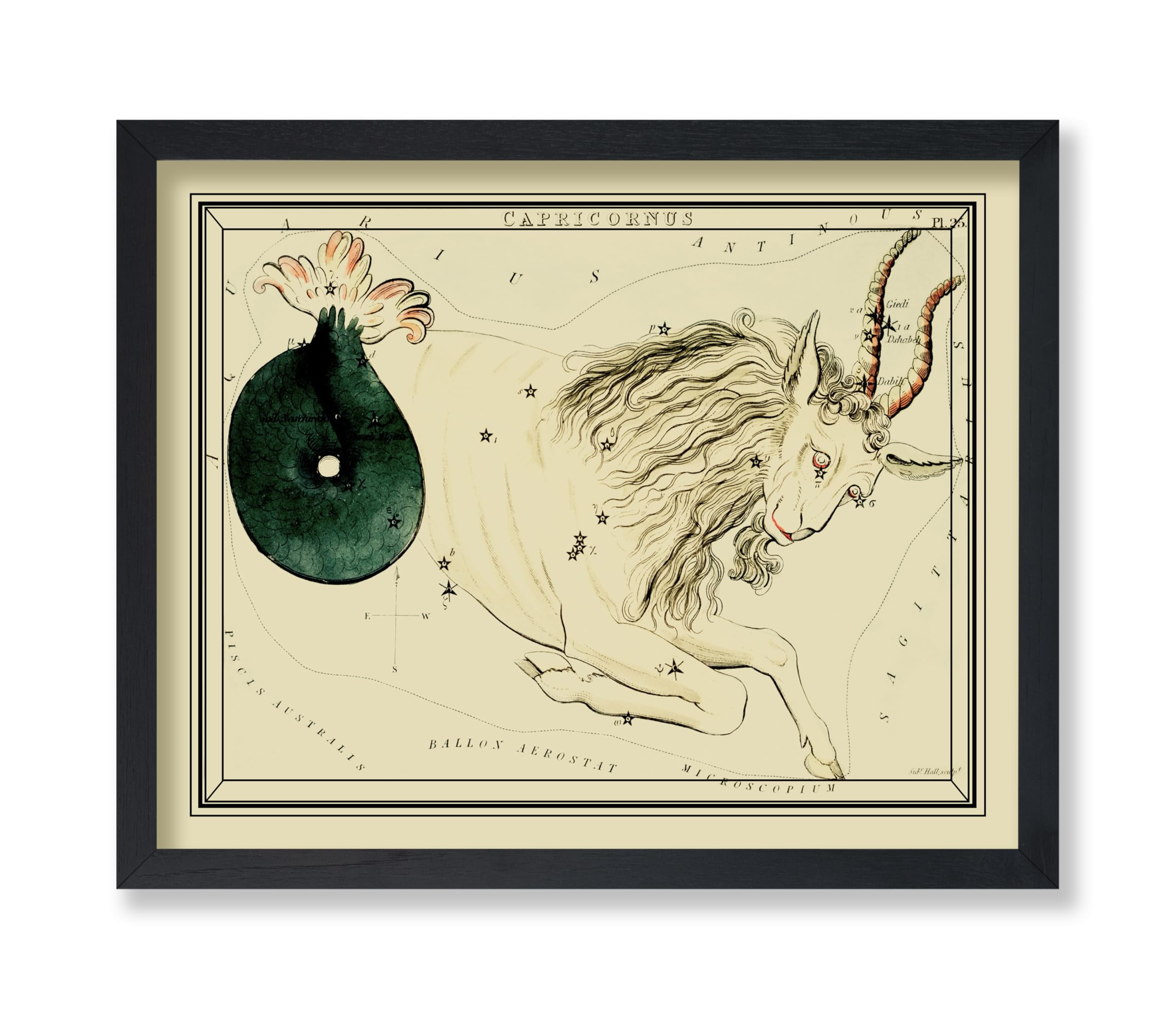Poster Master Astrology Posters, Capricorn Zodiac Constellation Poster ...
