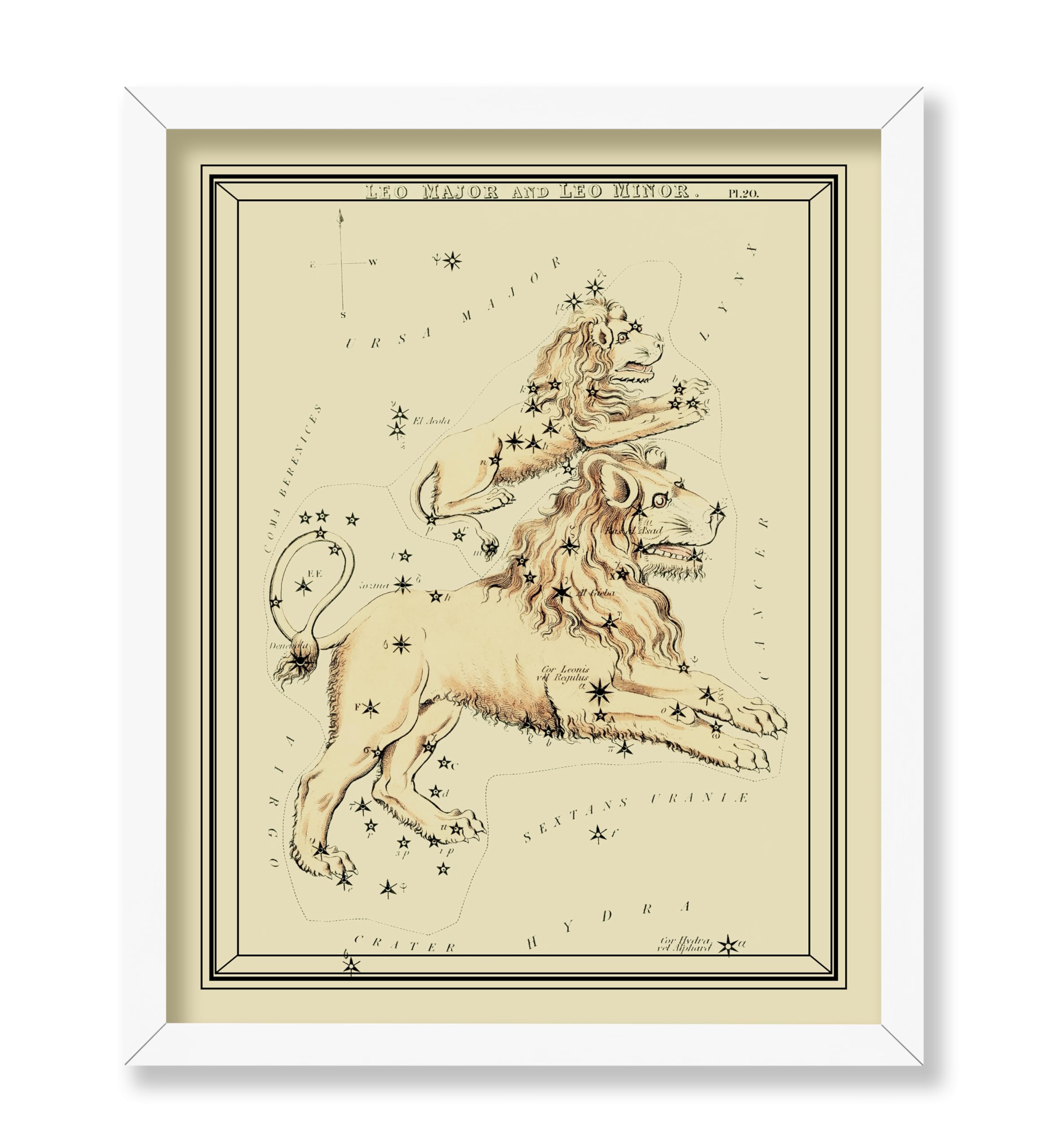 Poster Master Astrology Posters, Leo Zodiac Constellation Poster ...