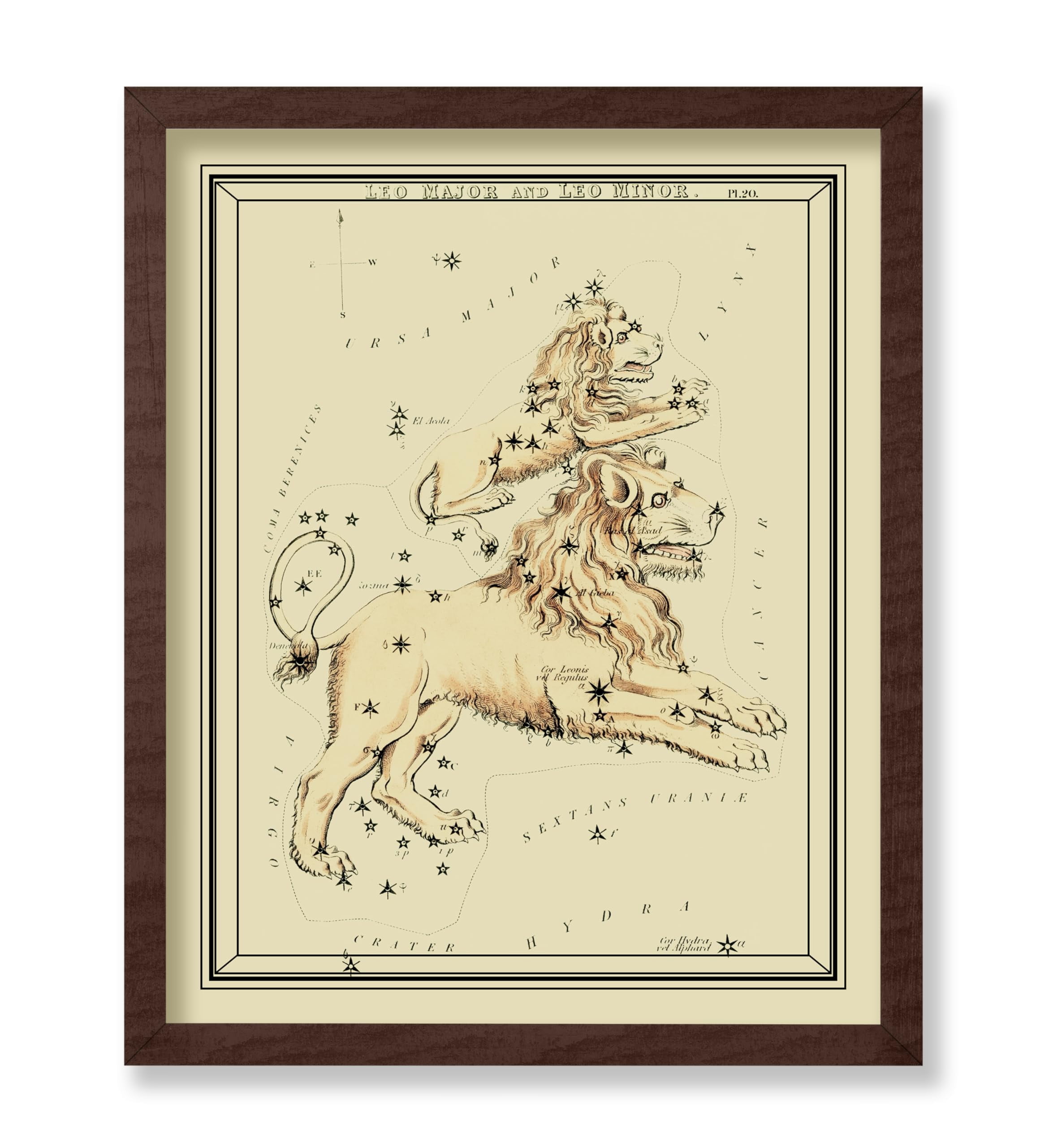 Poster Master Astrology Posters, Leo Zodiac Constellation Poster ...