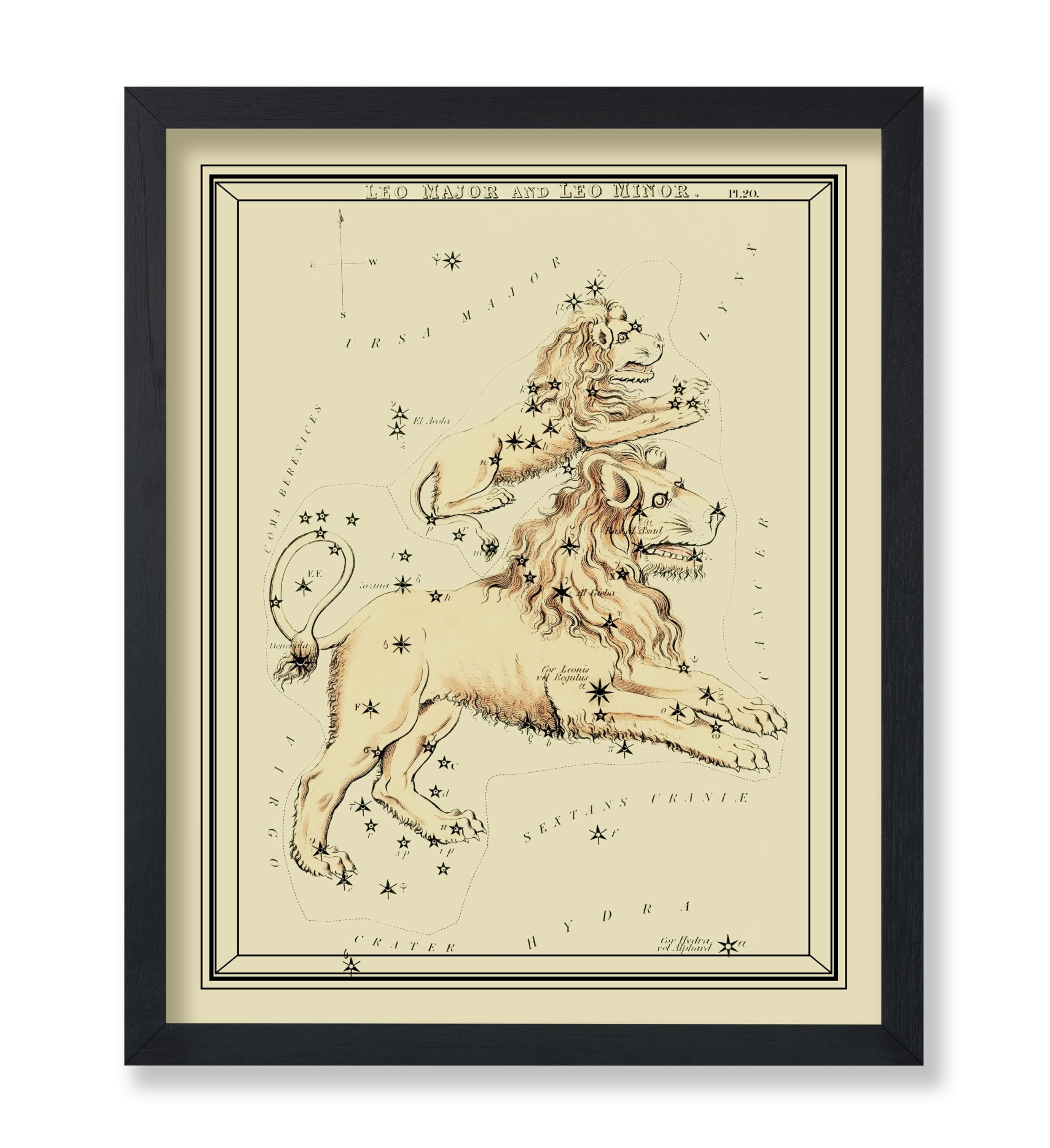 Poster Master Astrology Posters, Leo Zodiac Constellation Poster, 8x10 ...