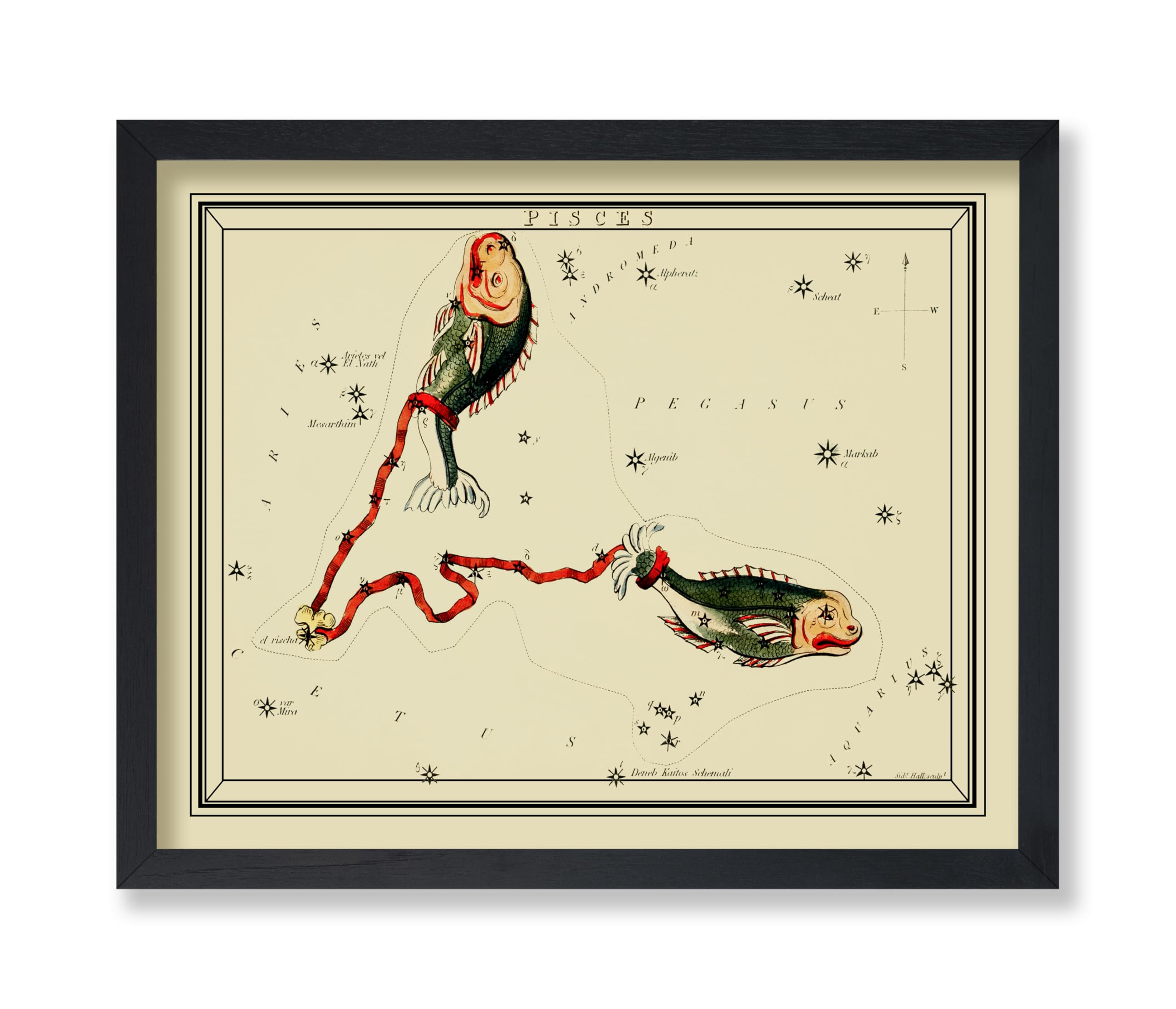 Poster Master Astrology Posters, Pisces Zodiac Constellation Poster ...