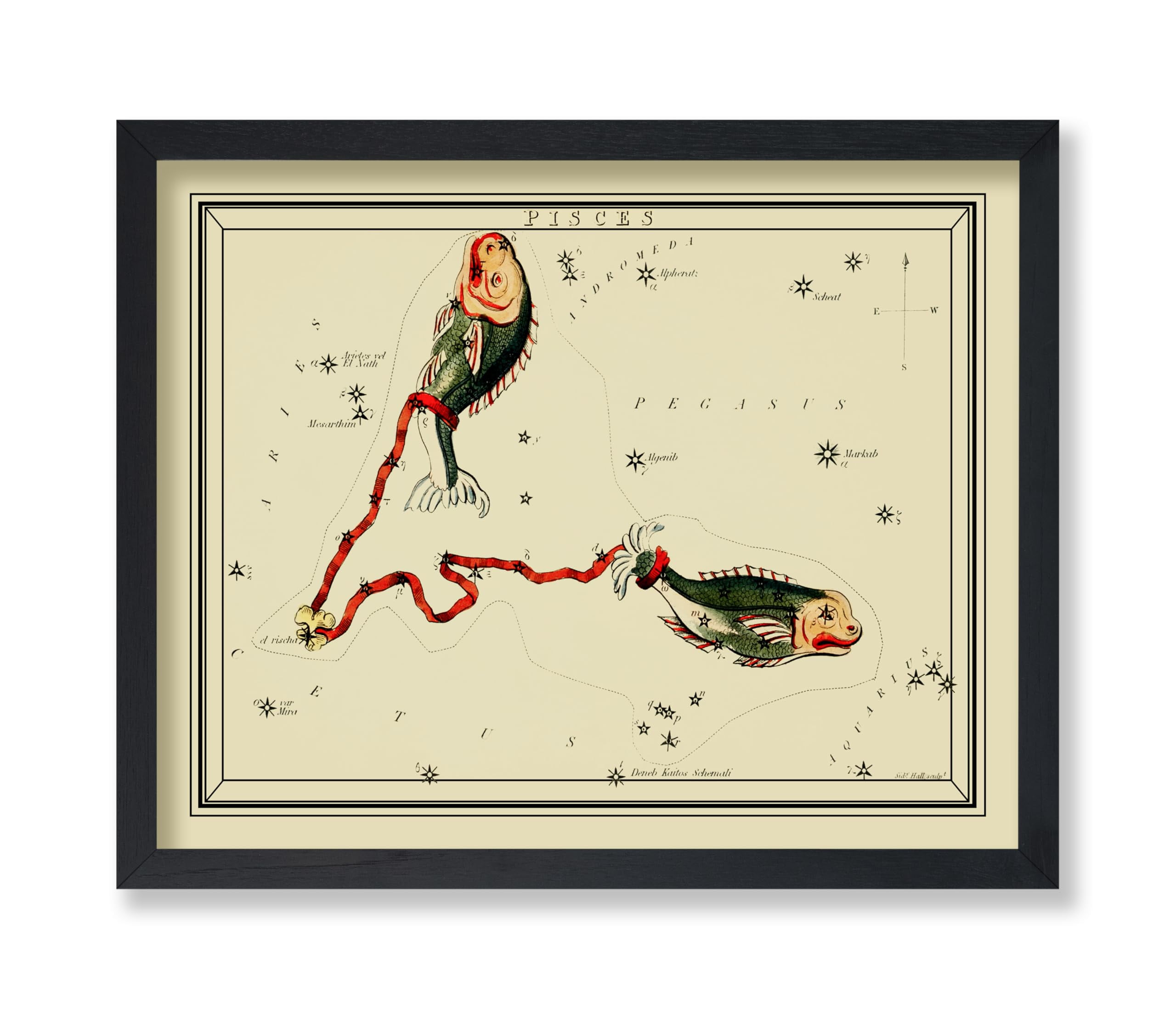 Poster Master Astrology Posters, Pisces Zodiac Constellation Poster ...