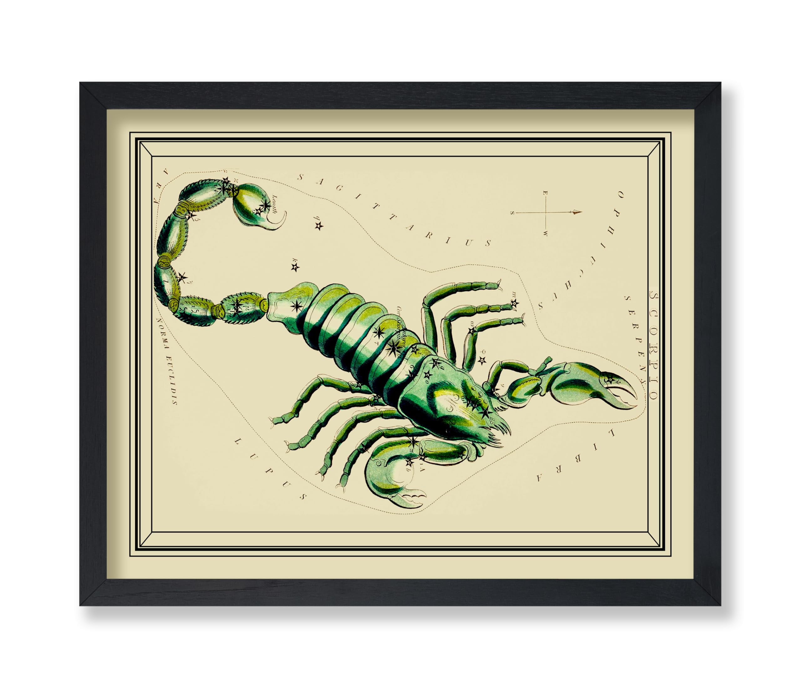 Poster Master Astrology Posters, Scorpio Zodiac Constellation Poster ...